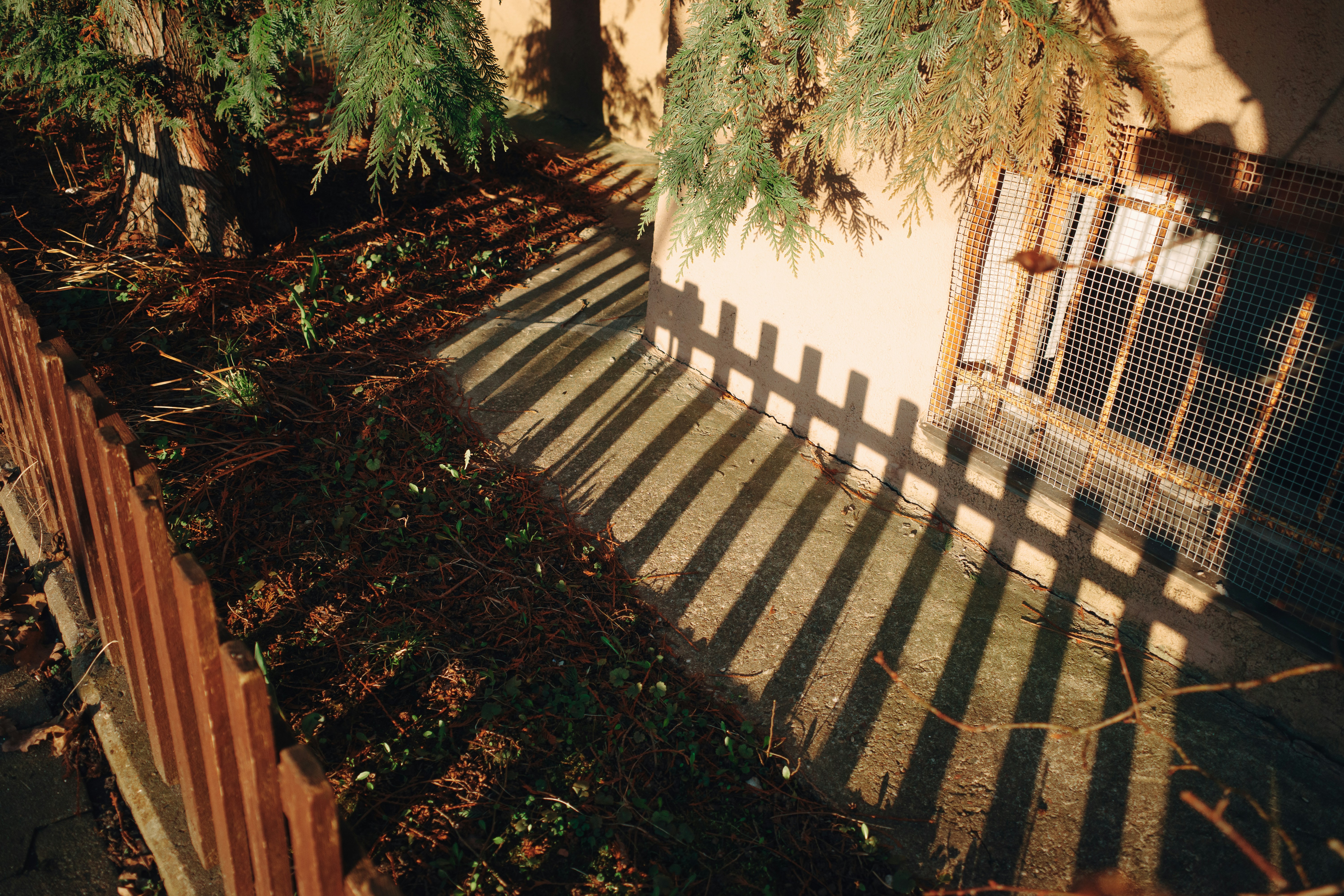 Fence Shadow Geometry: Diagonal Stripes Across a Sunlit Yard