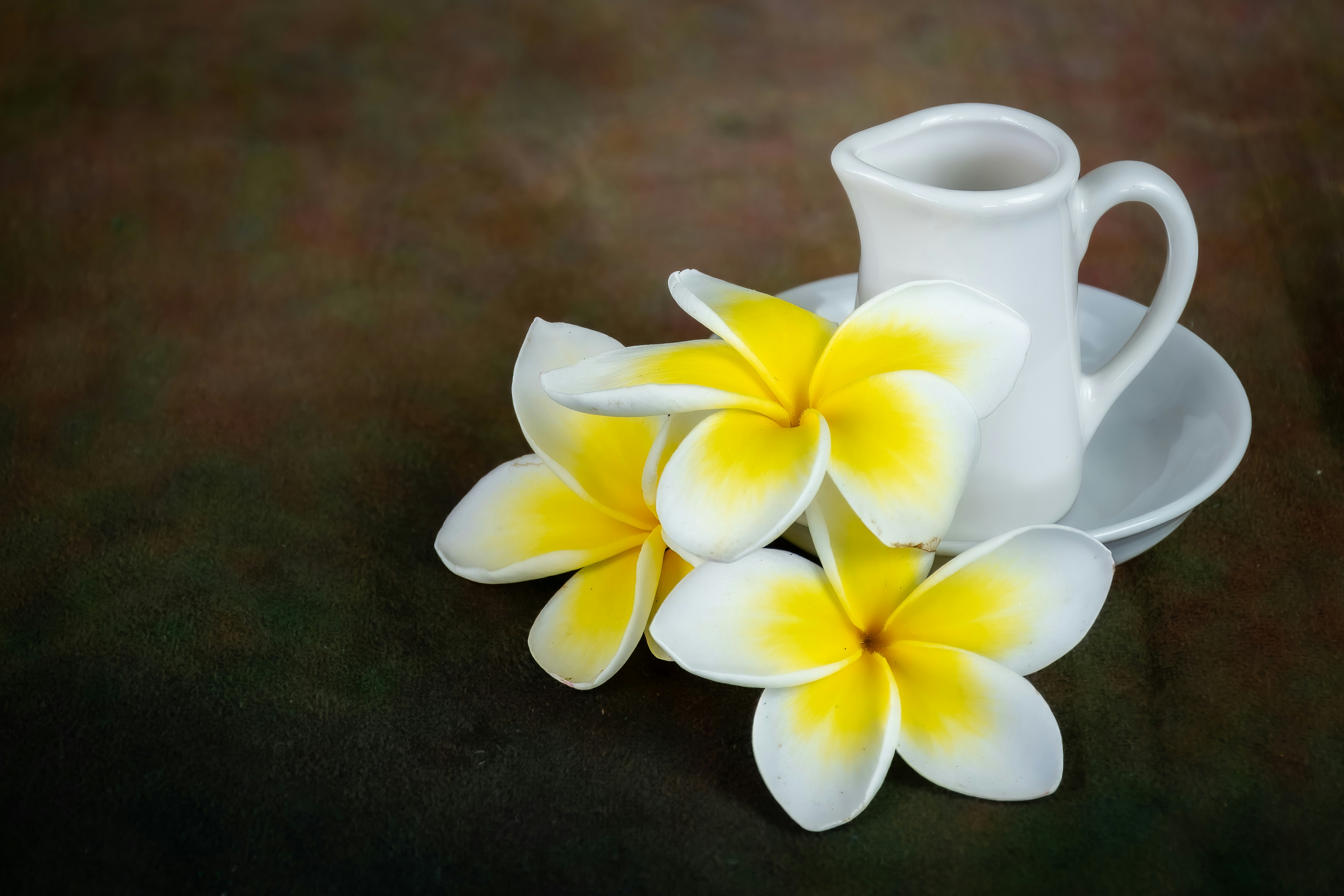 Serenity in Yellow and White