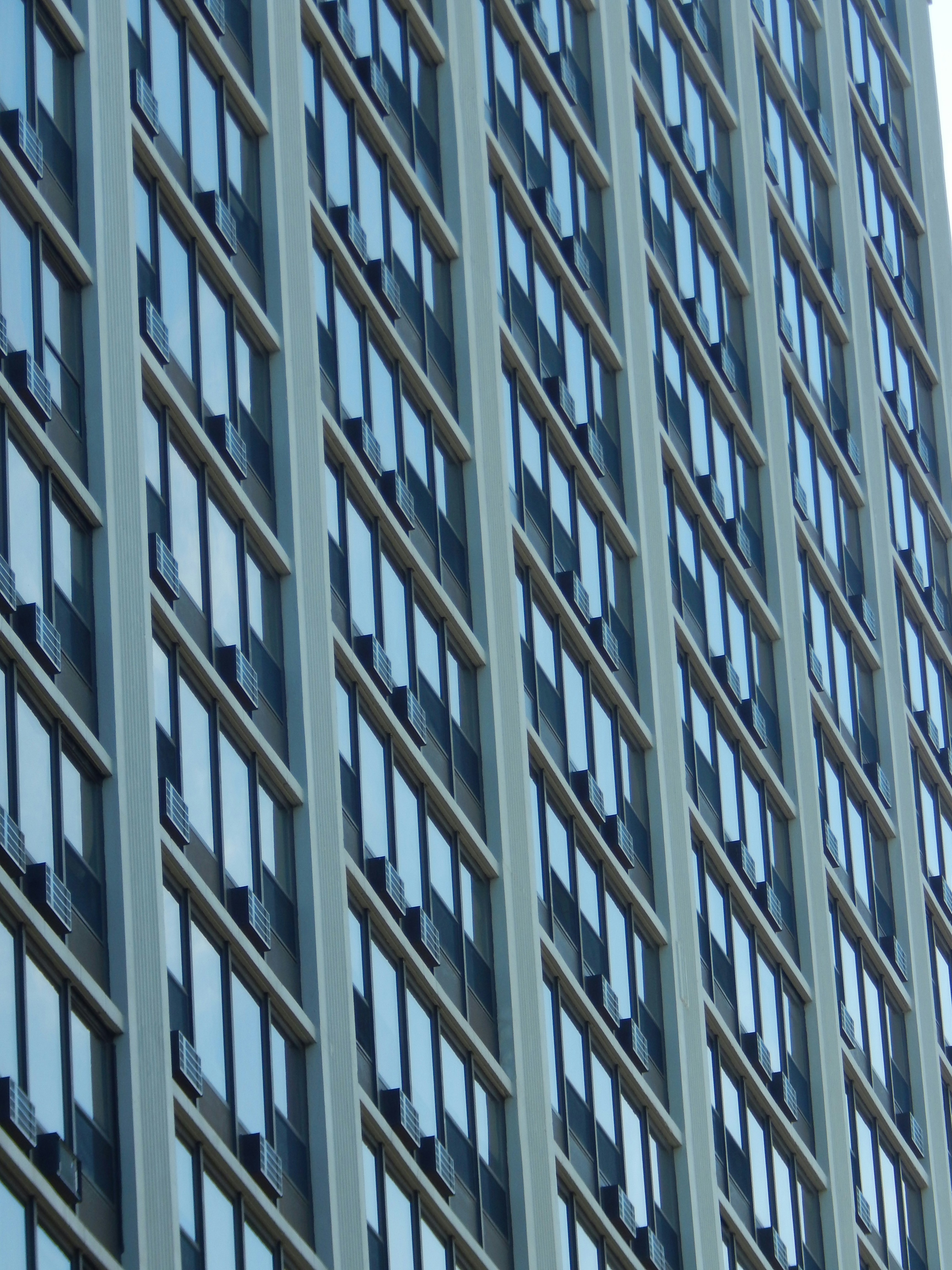 Photo by Maddy Weiss with Nikon Coolpix L820