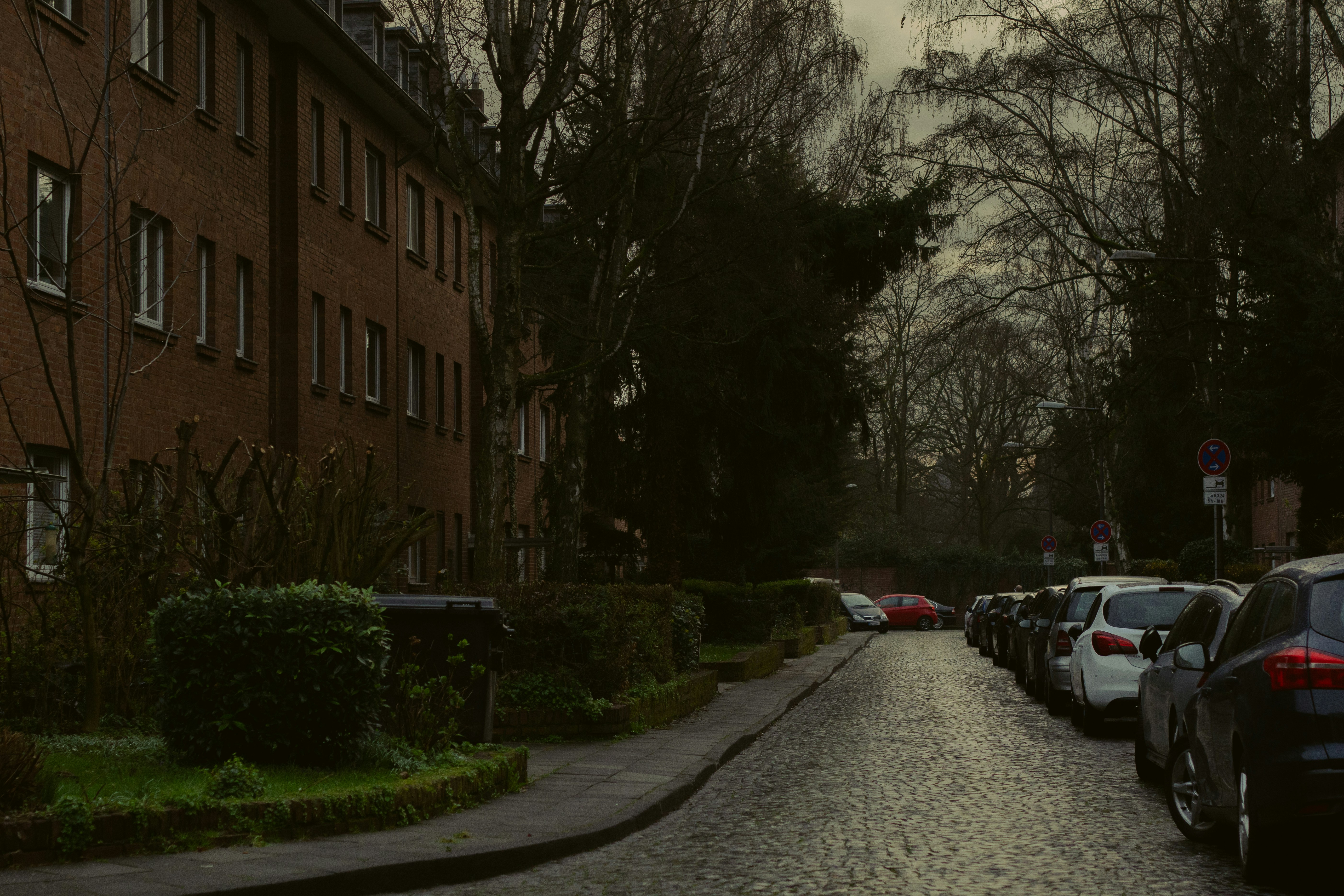 Photo by Ari Shojaei with SONY ZV-E10