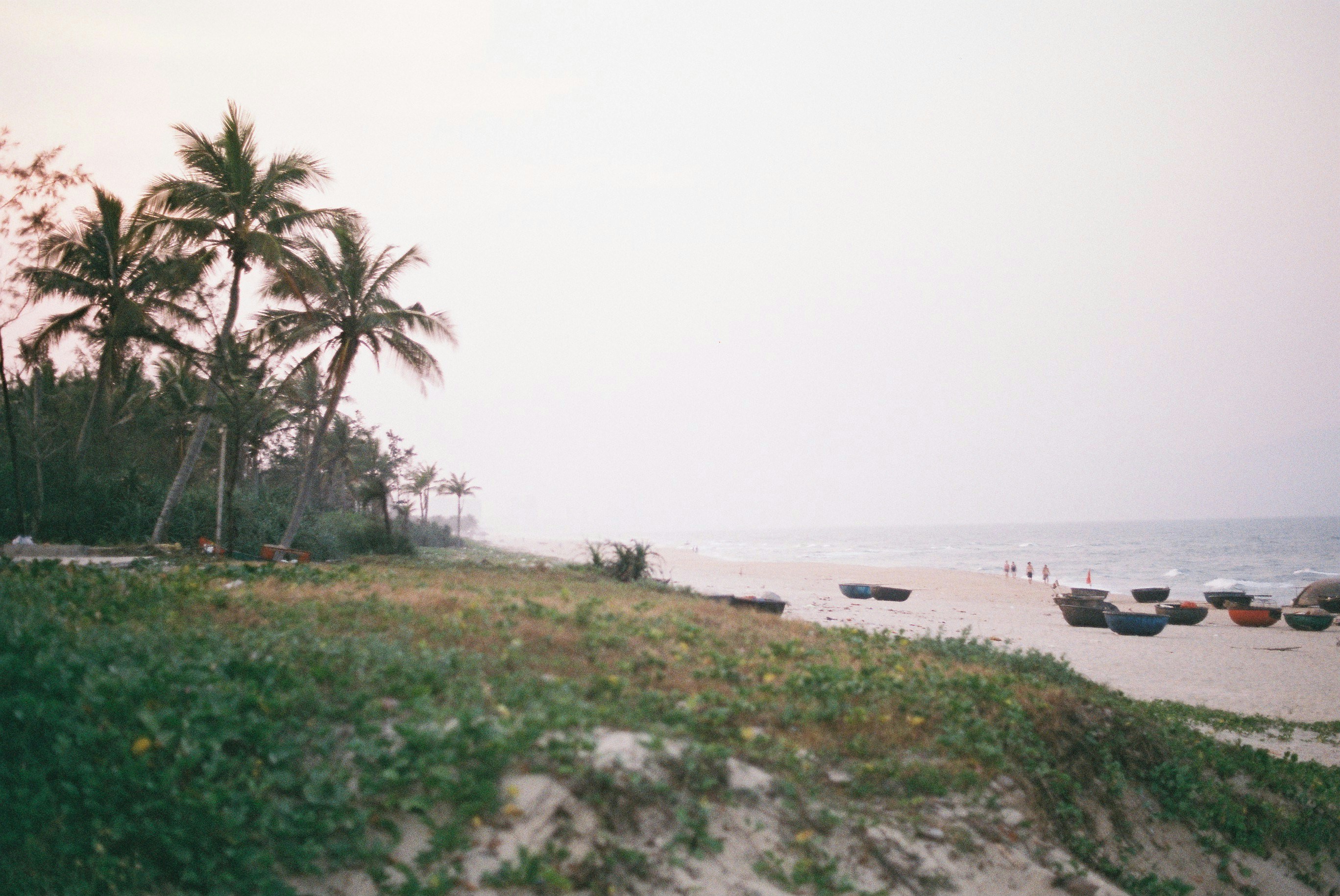 Palm Shadows at Dusk: Boats Rest on a Quiet Beach