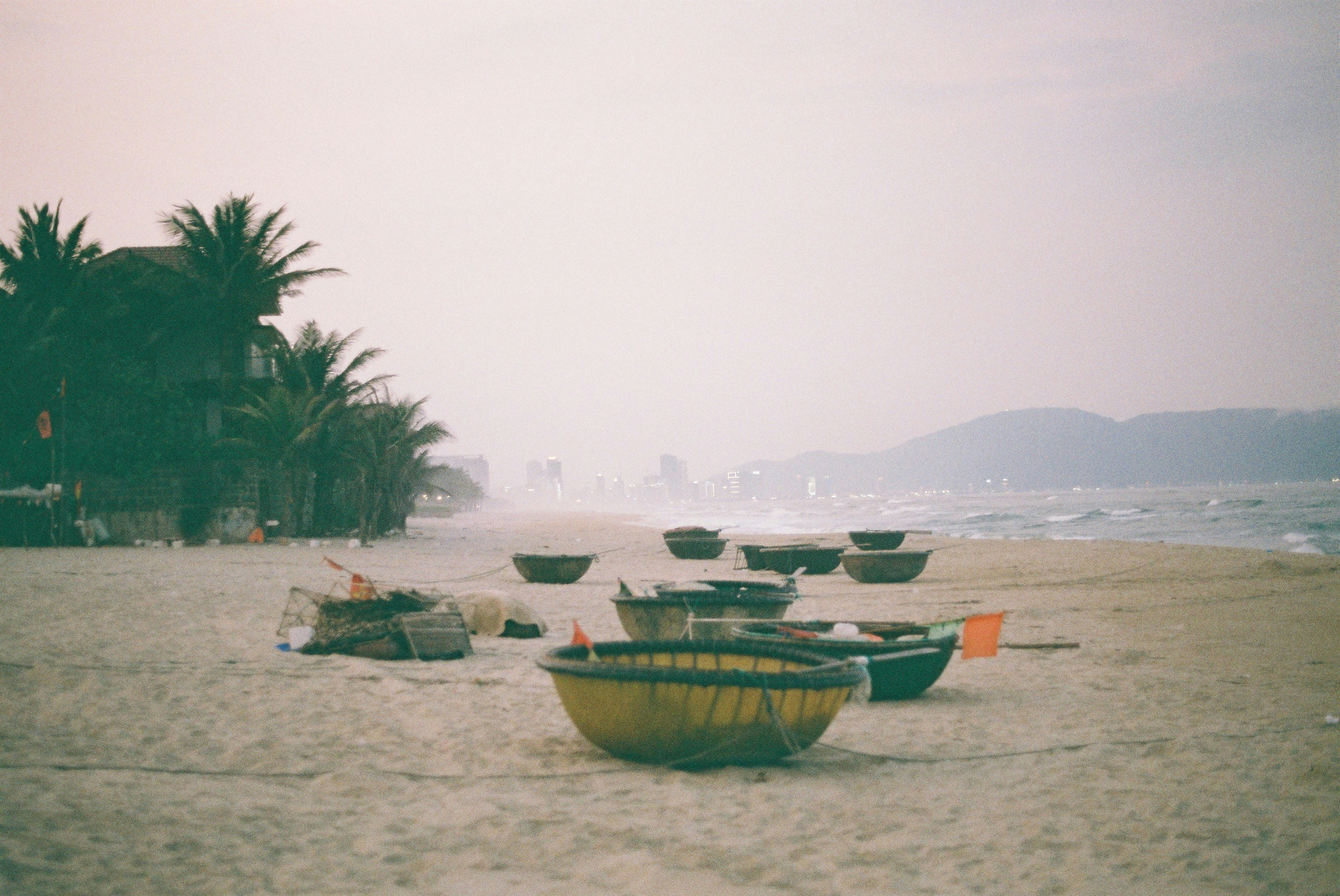Sun-bleached Boats on a Palm-Fringed Beach