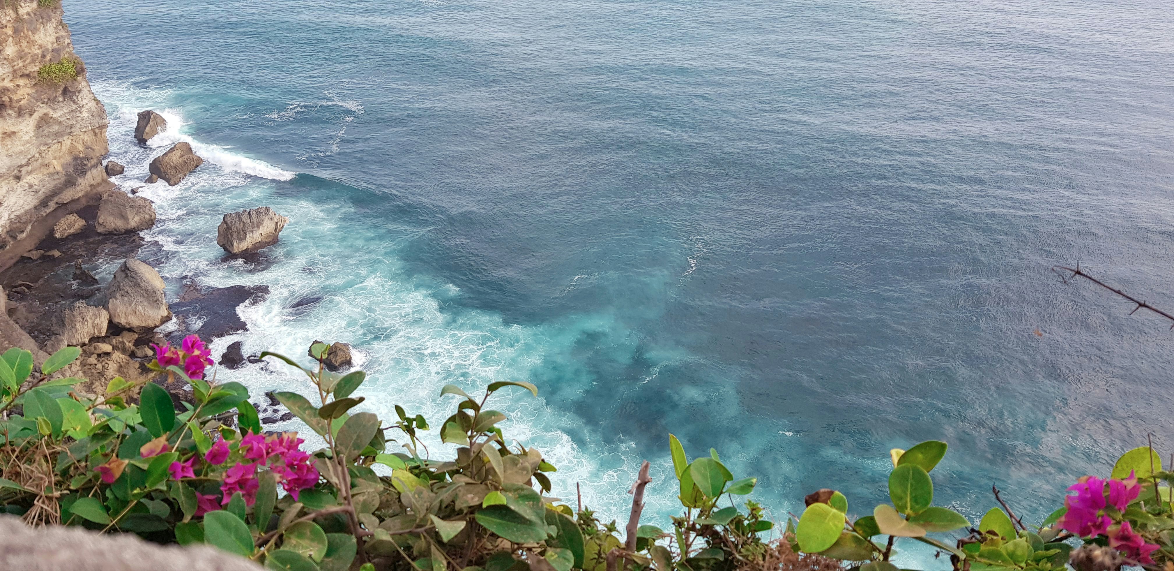 Vibrant bougainvillea blooms frame the rocky coastline, where waves gently crash against the shore, creating a serene coastal scene.