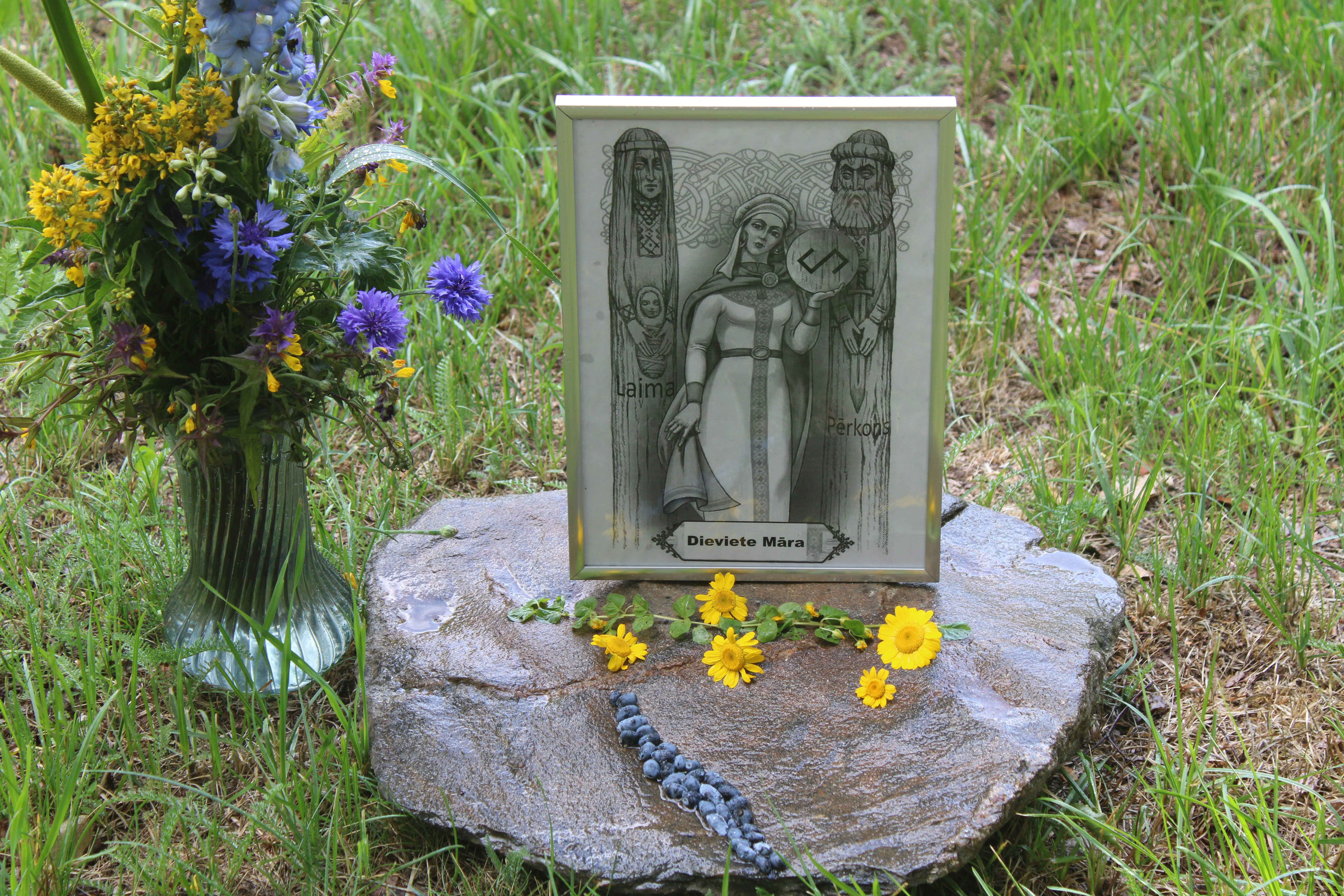 Carol Lee Cooper Dies Pictures | Download Free Images on Unsplash