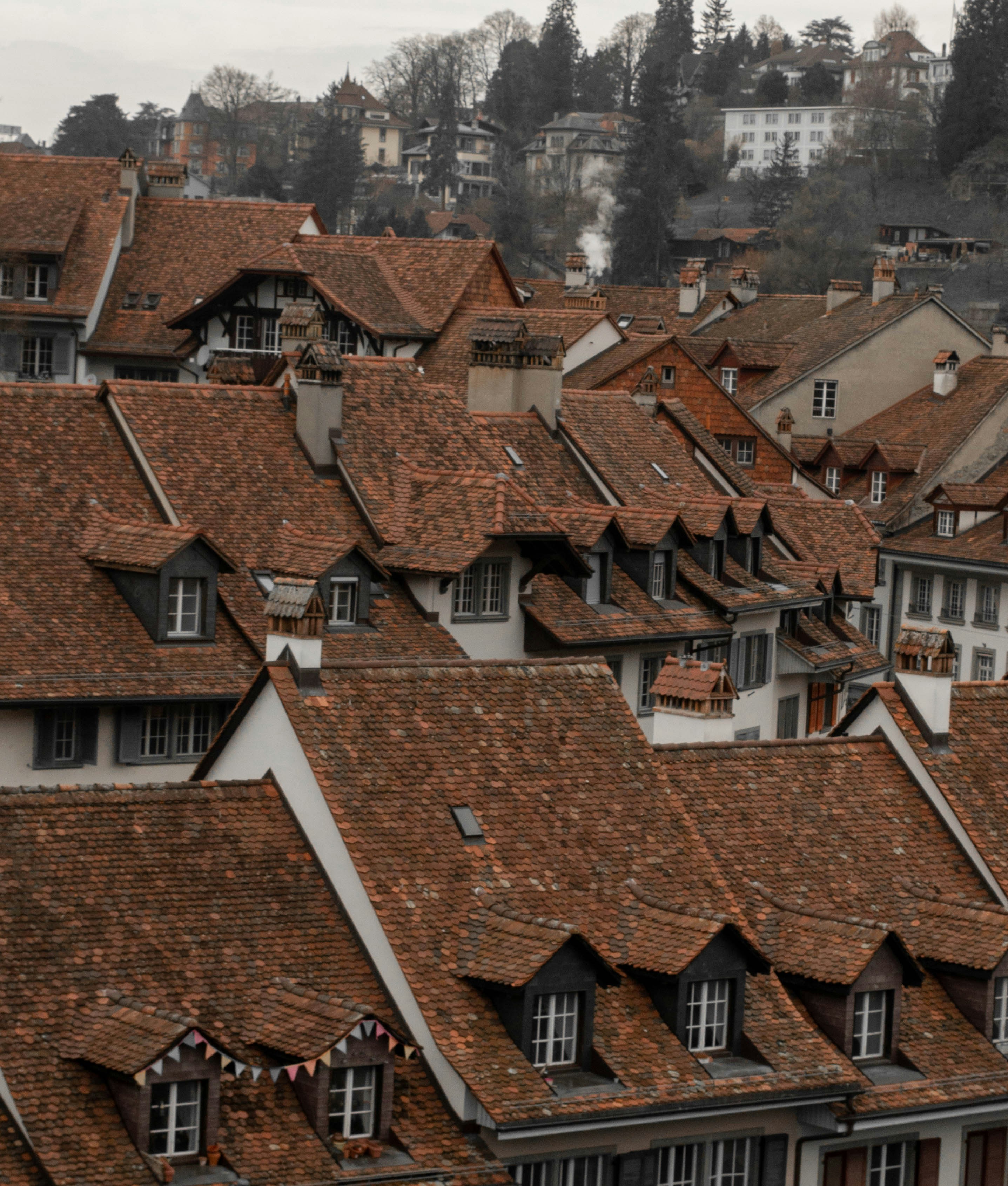 Terracotta Tapestry: A Rooftop Mosaic in a European Town