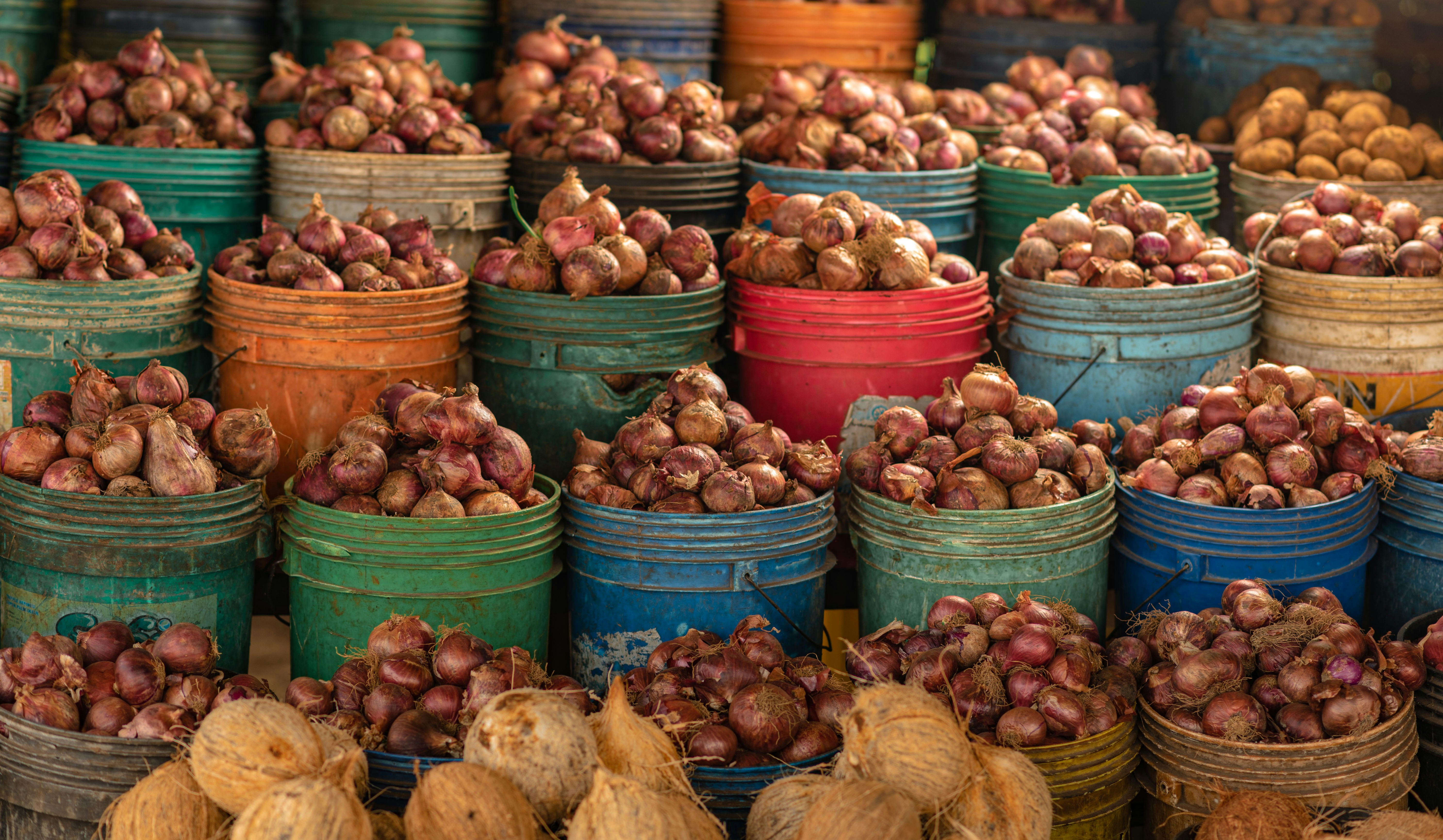 A bunch of buckets filled with lots of food photo – Free Food Image on ...