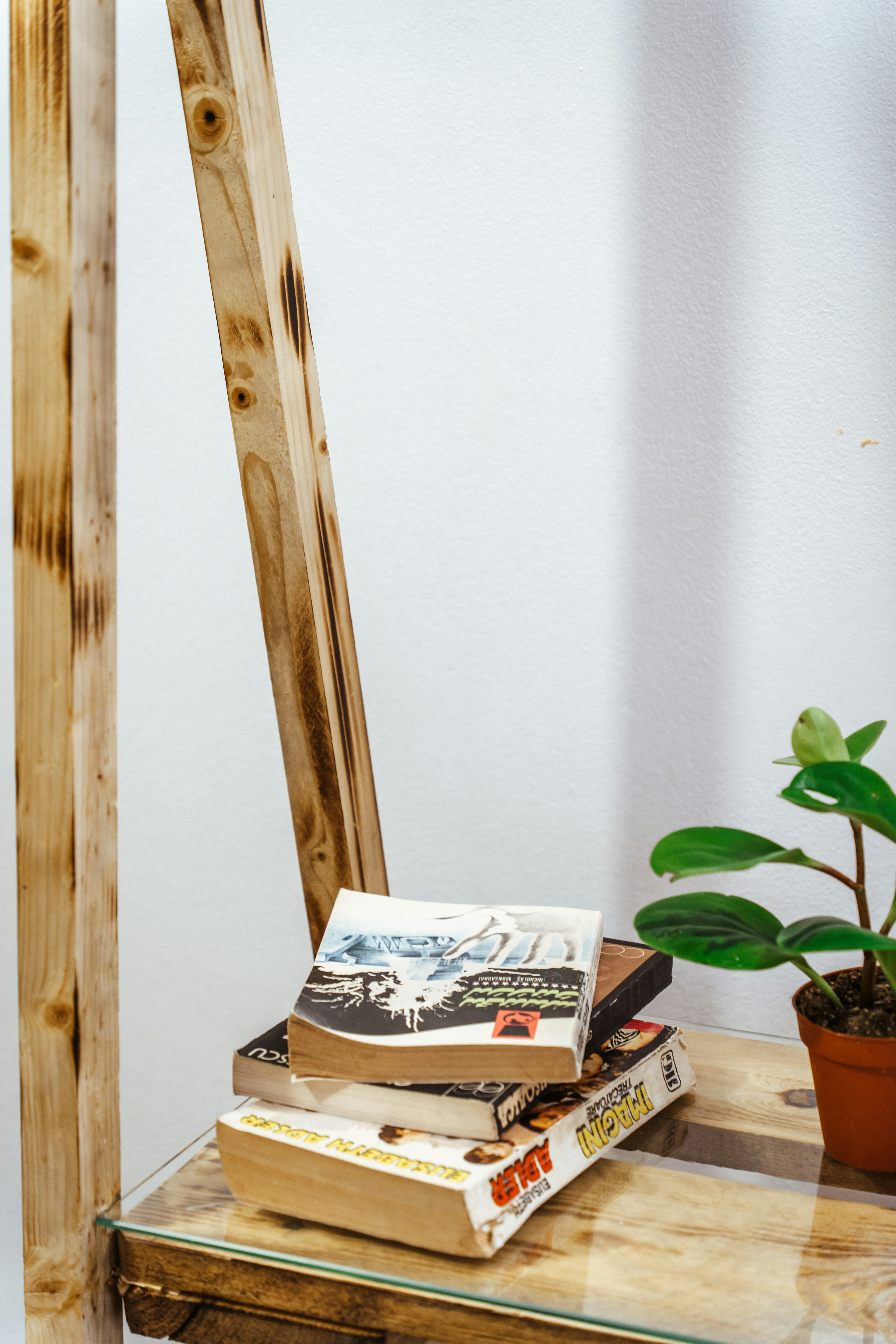 Quiet Stack Under Glass: Weathered Books and a Living Plant