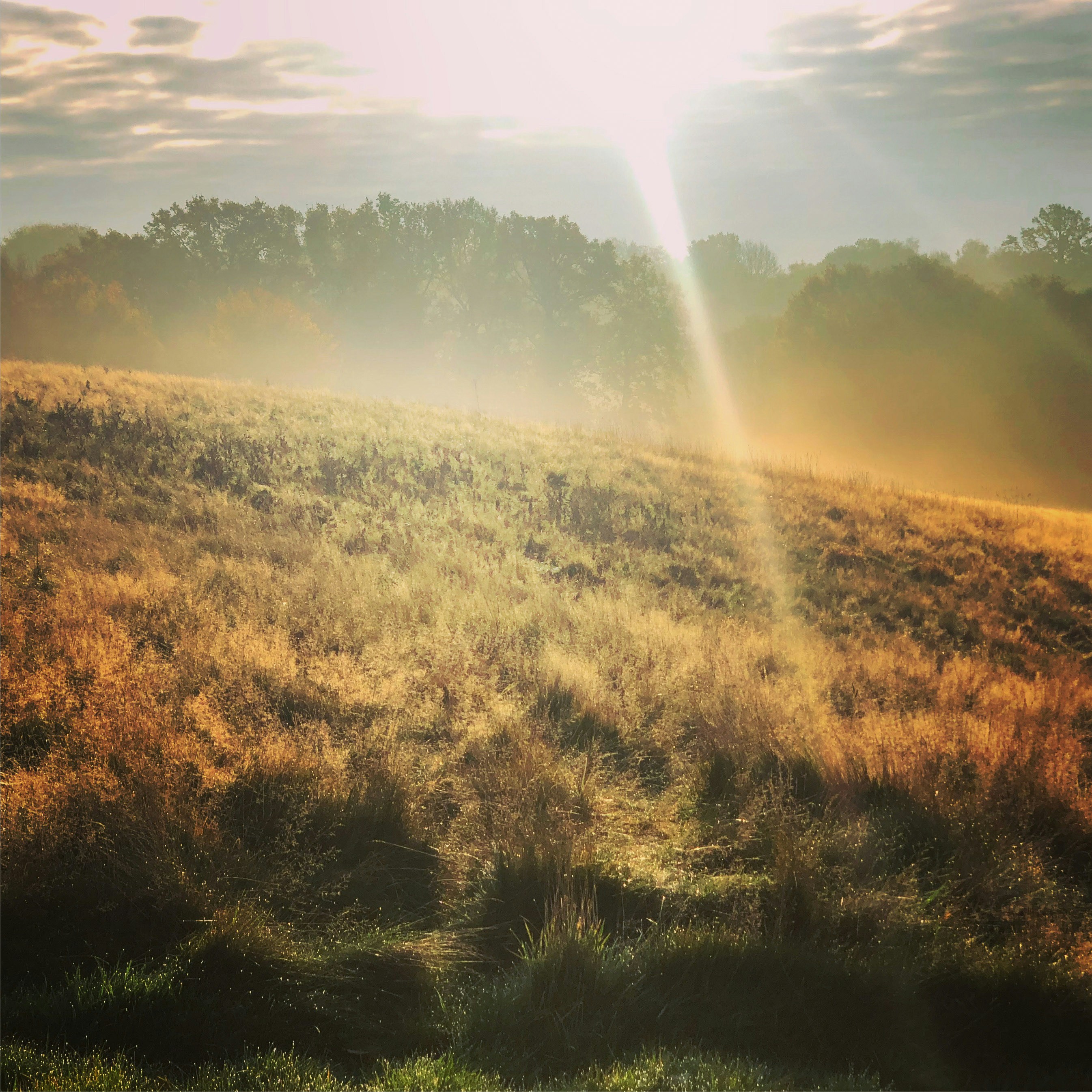 Sunbeam Slices Across a Golden Prairie at Golden Hour
