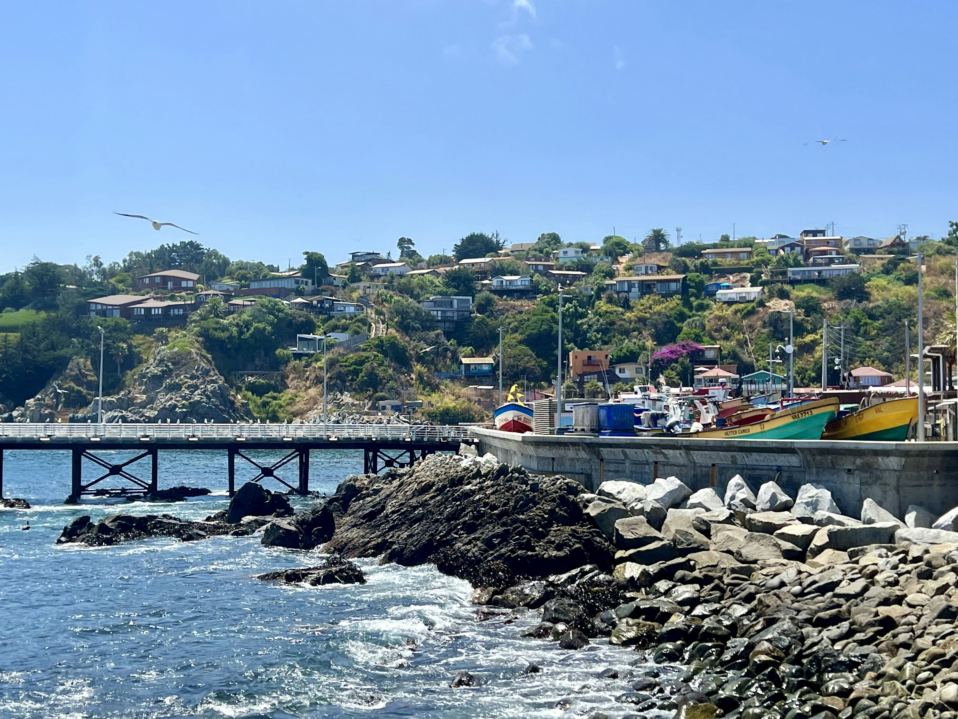 Seaside village with colorful boats docked along a rocky shoreline under a clear blue sky.