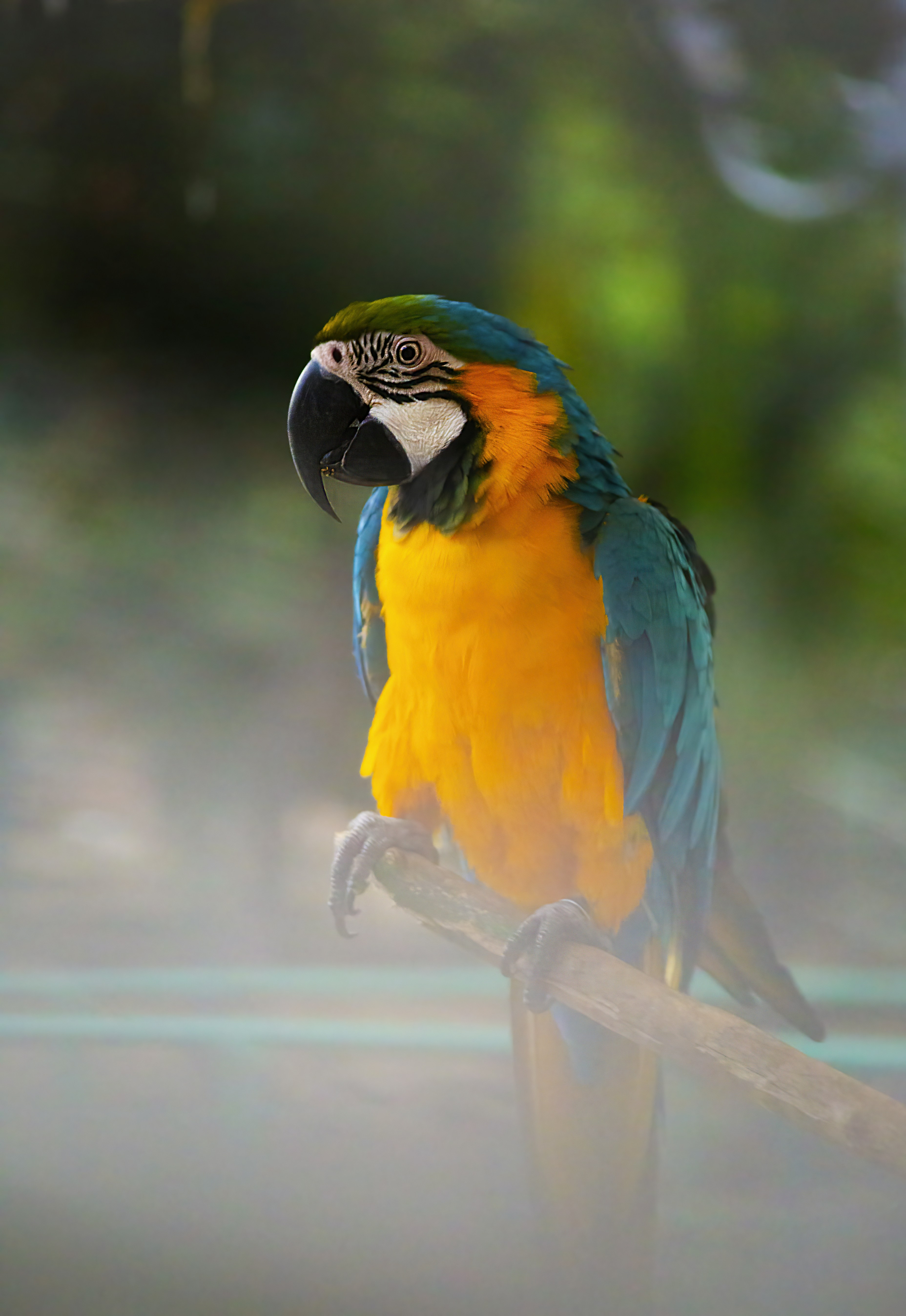 Photo by Hassan Pasha with Canon EOS 5D Mark III