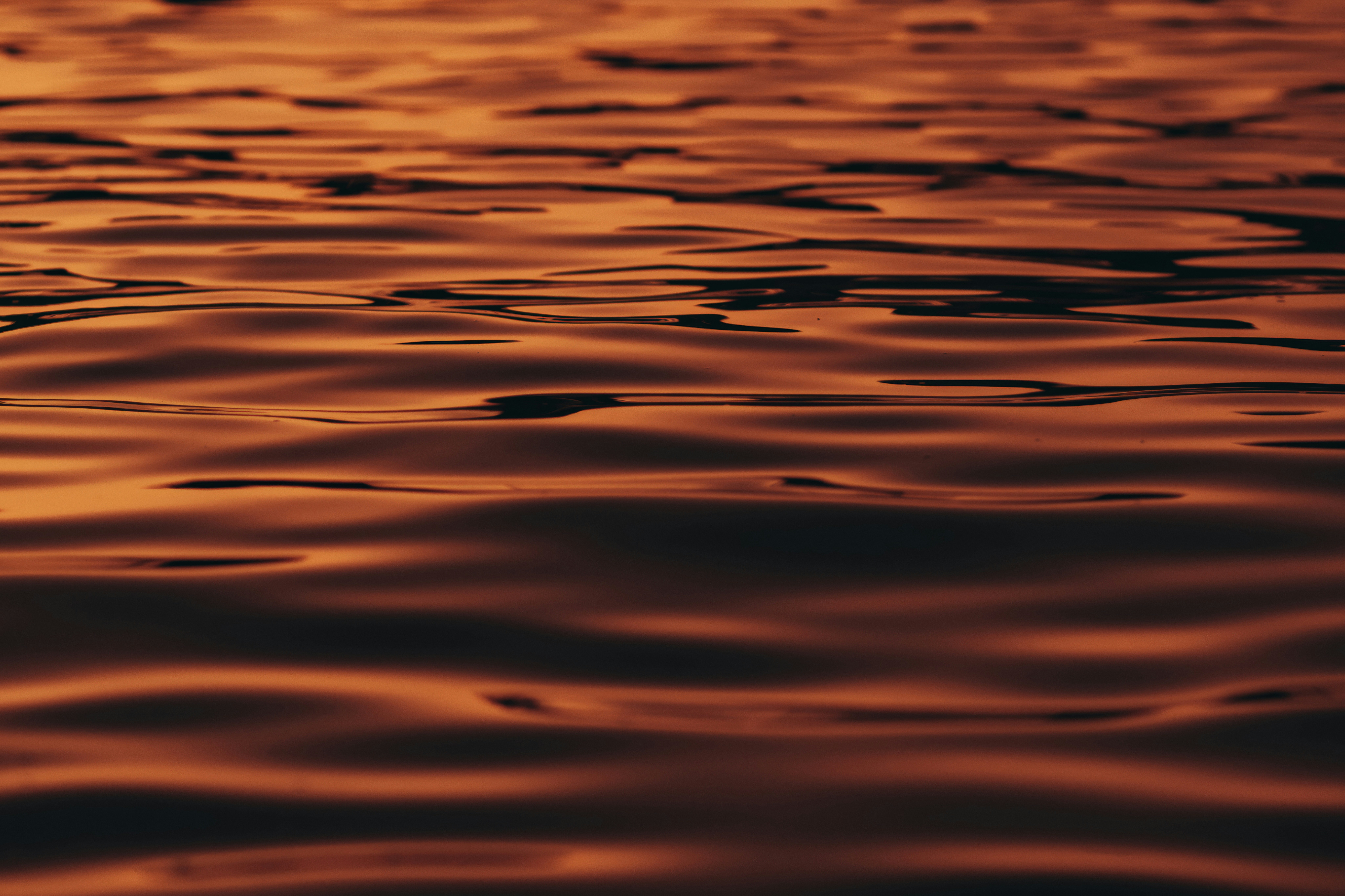 A body of water that has some waves on it photo – Free Water Image on ...