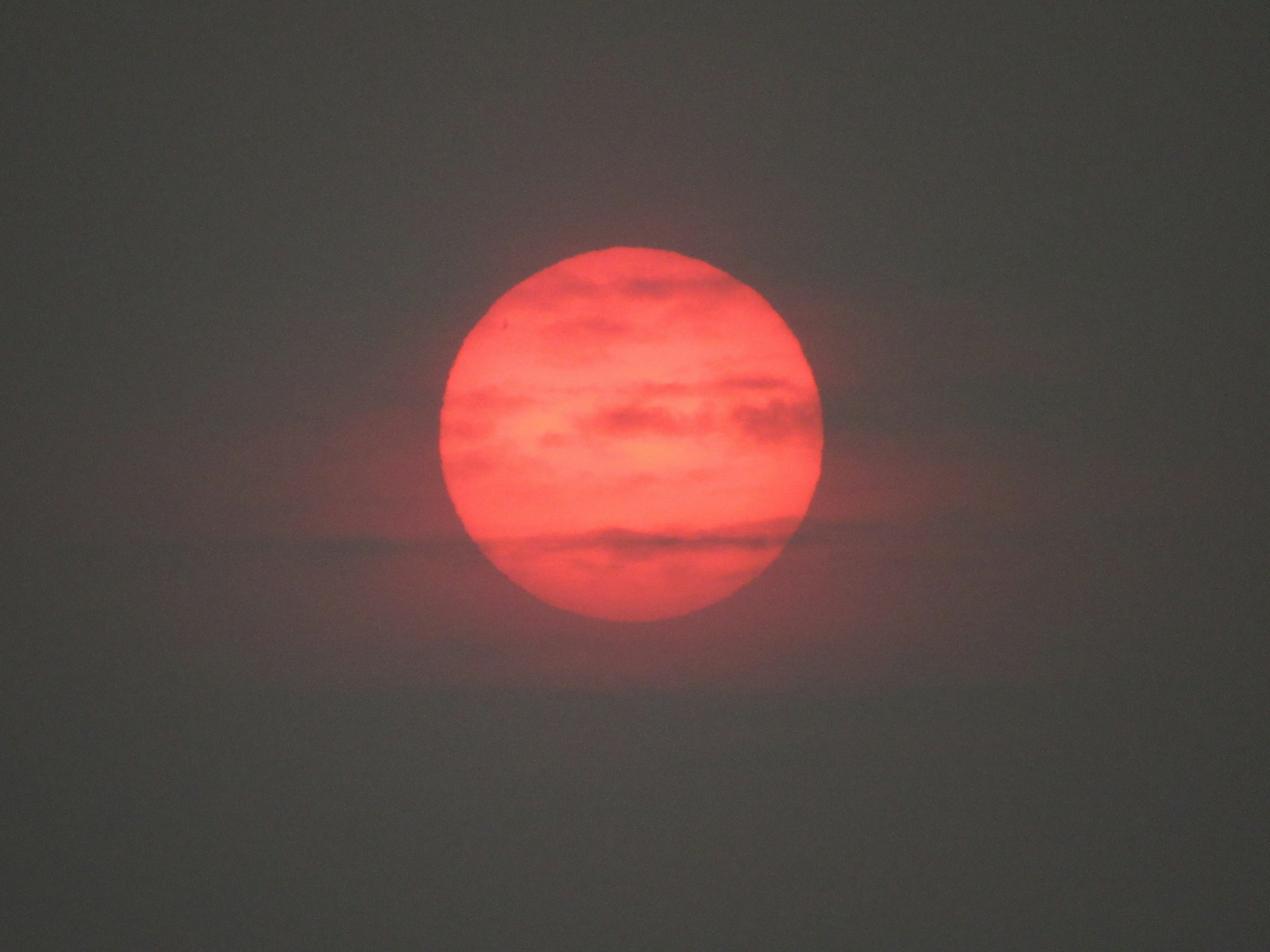 Crimson Sphere Through a Veiled Dusk