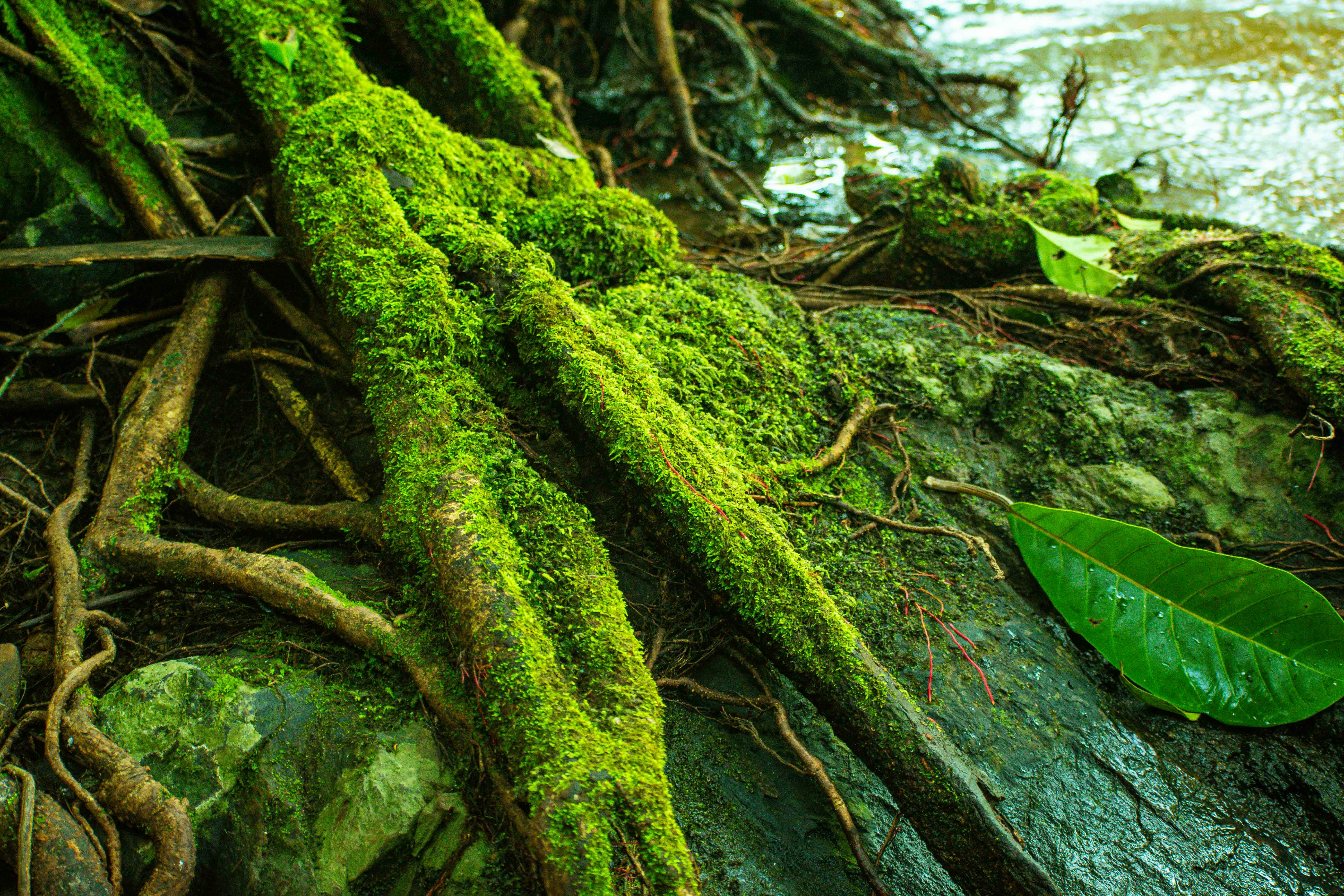 Photo by Brian Kungu with Nikon D3400