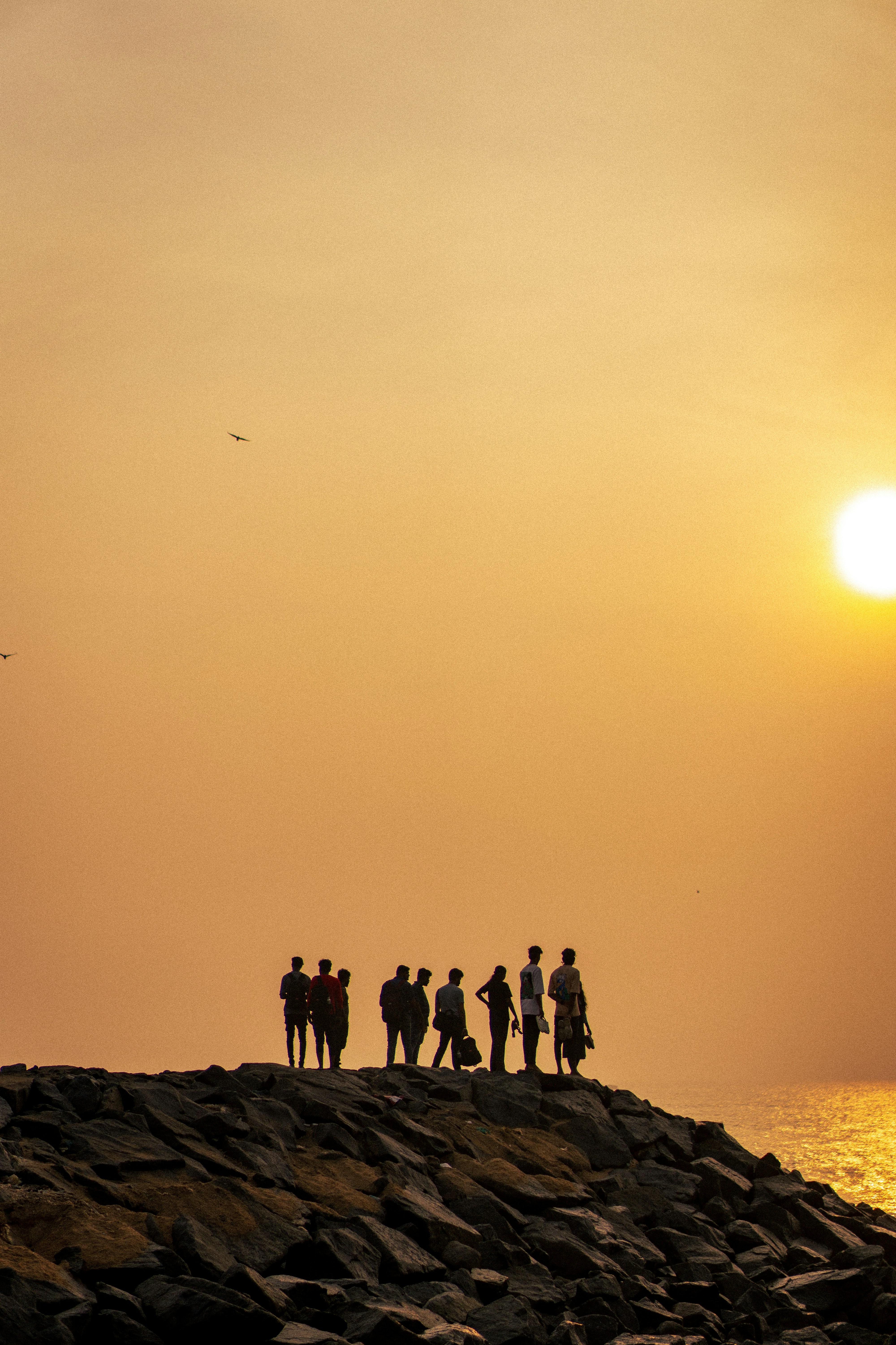 Group of silhouetted figures standing on a rocky outcrop, observing a golden sunset over the sea.