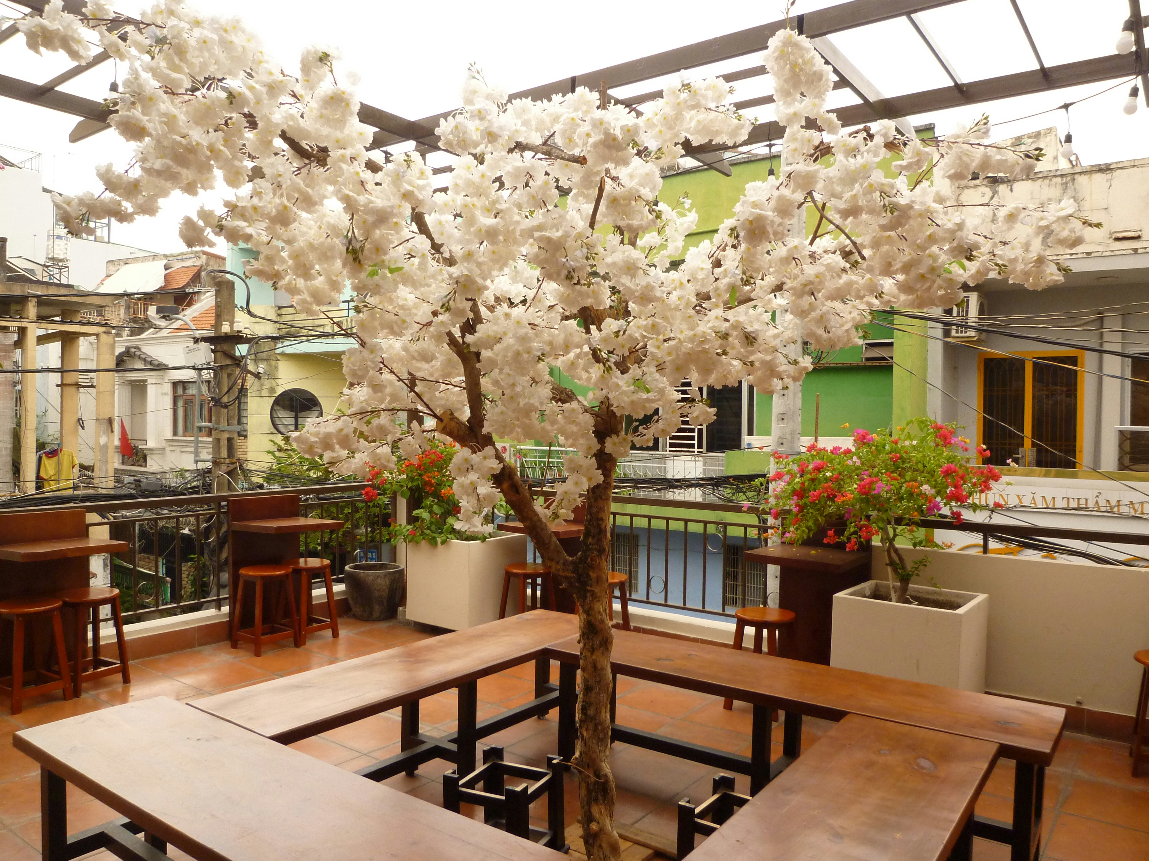 Urban Bloom on a Glass-Canopy Terrace: White Cherry in Soft Afternoon Light