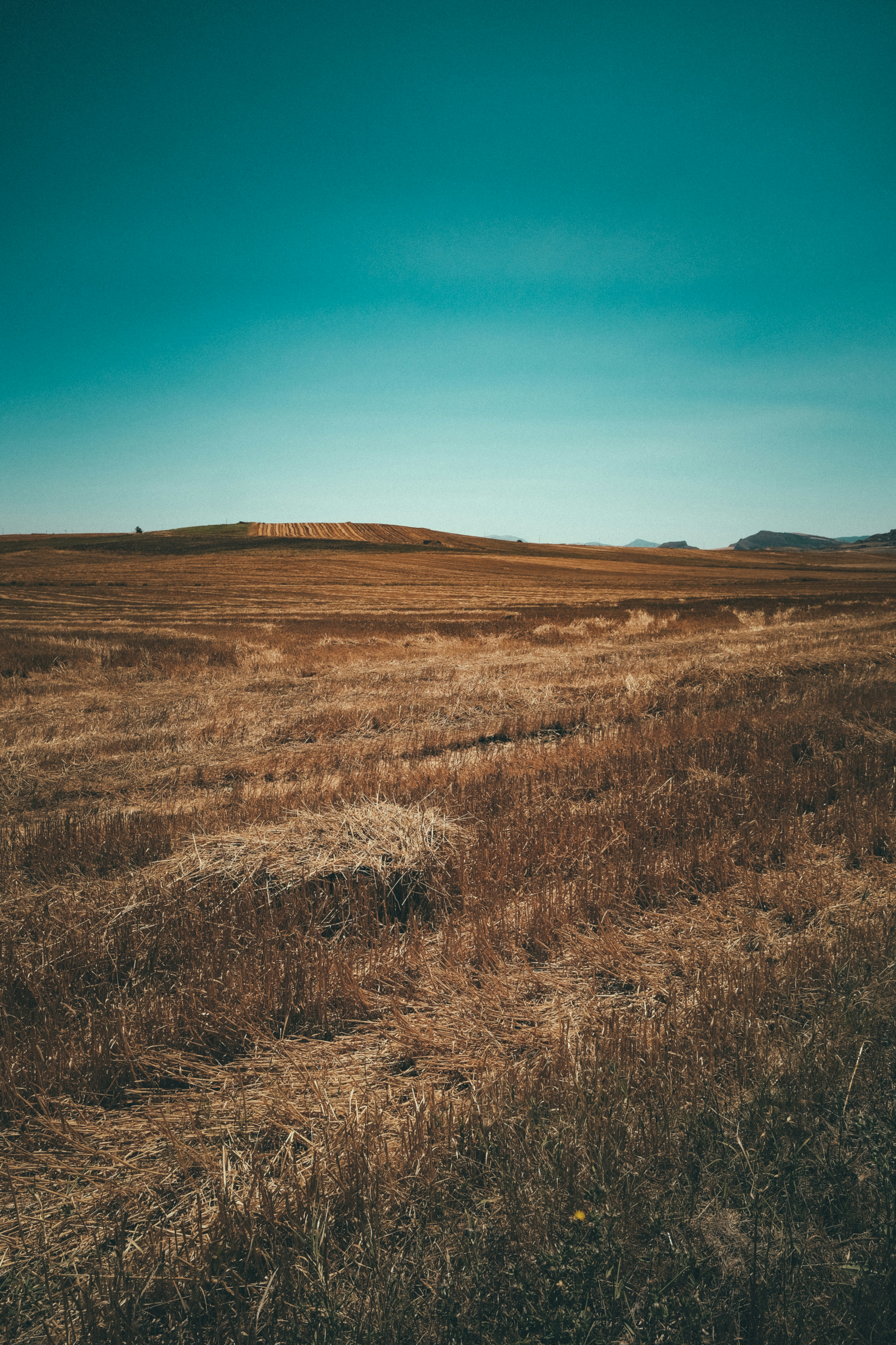 A large open field with a hill in the distance photo – Free Ground ...