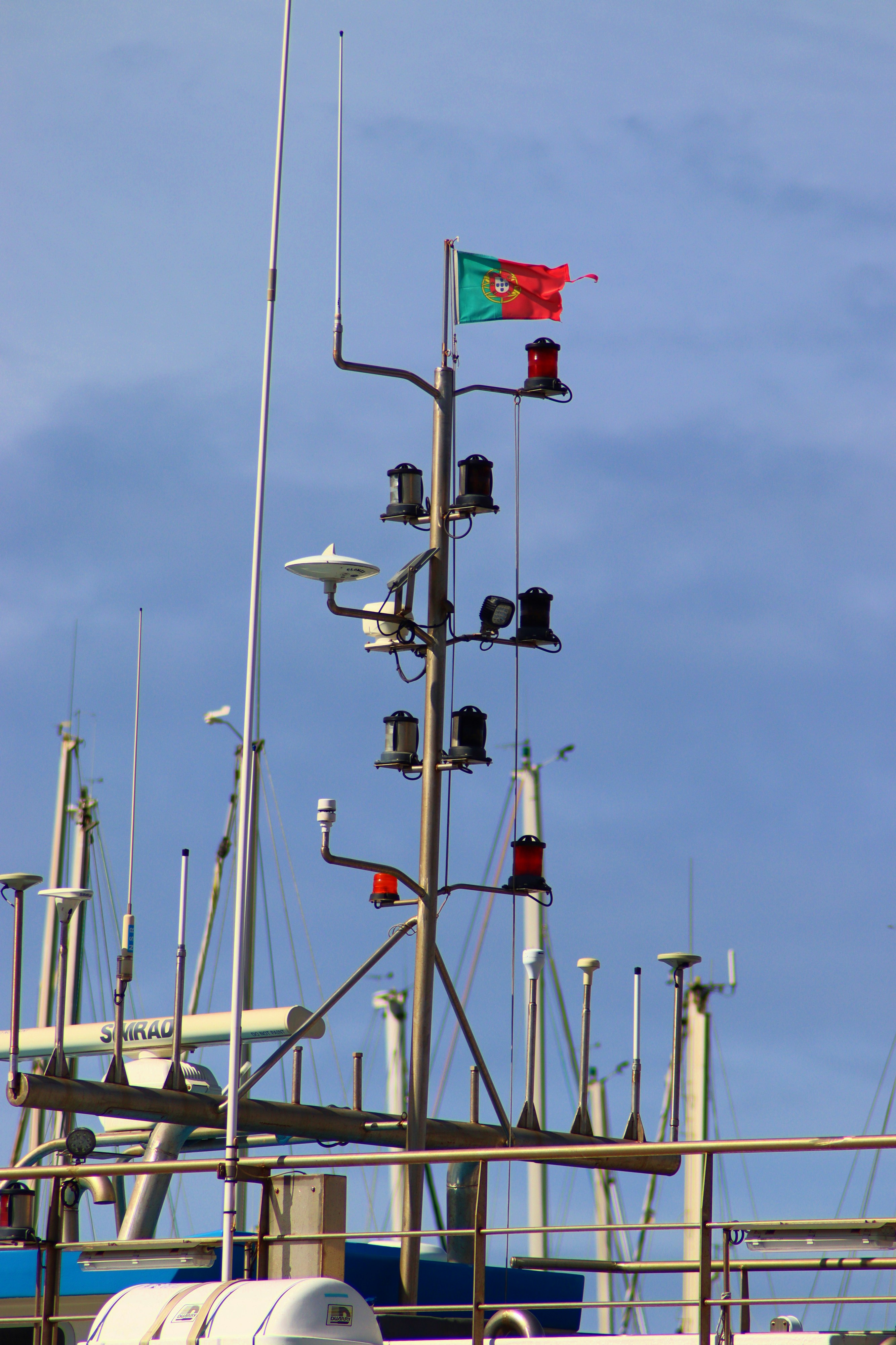 Photo by ♂ L.Filipe C.Sousa© ꆜꆜ with Canon EOS 850D