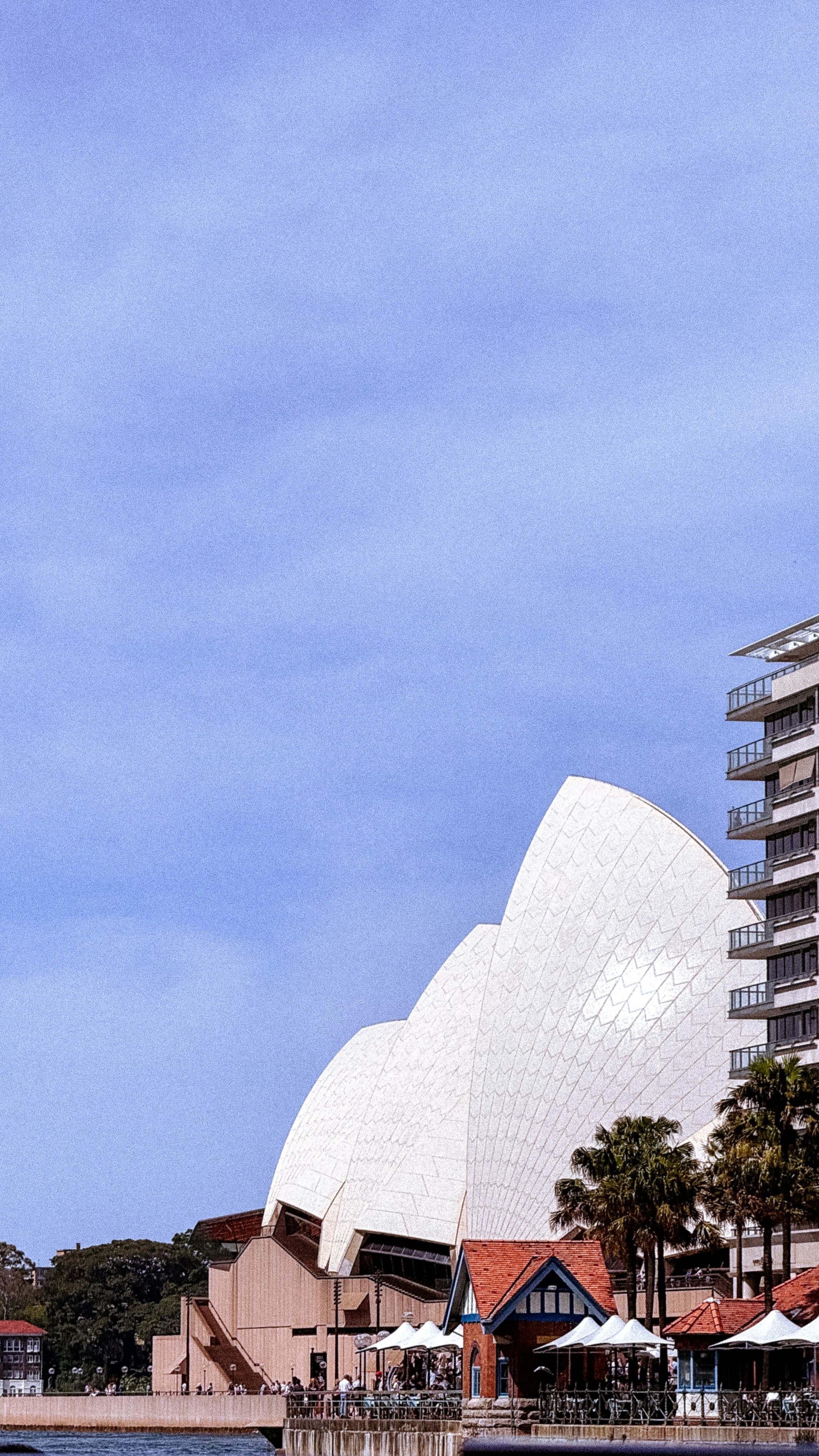 Harbor Sails: Sydney Opera House Framed by a Calm Blue Waterfront