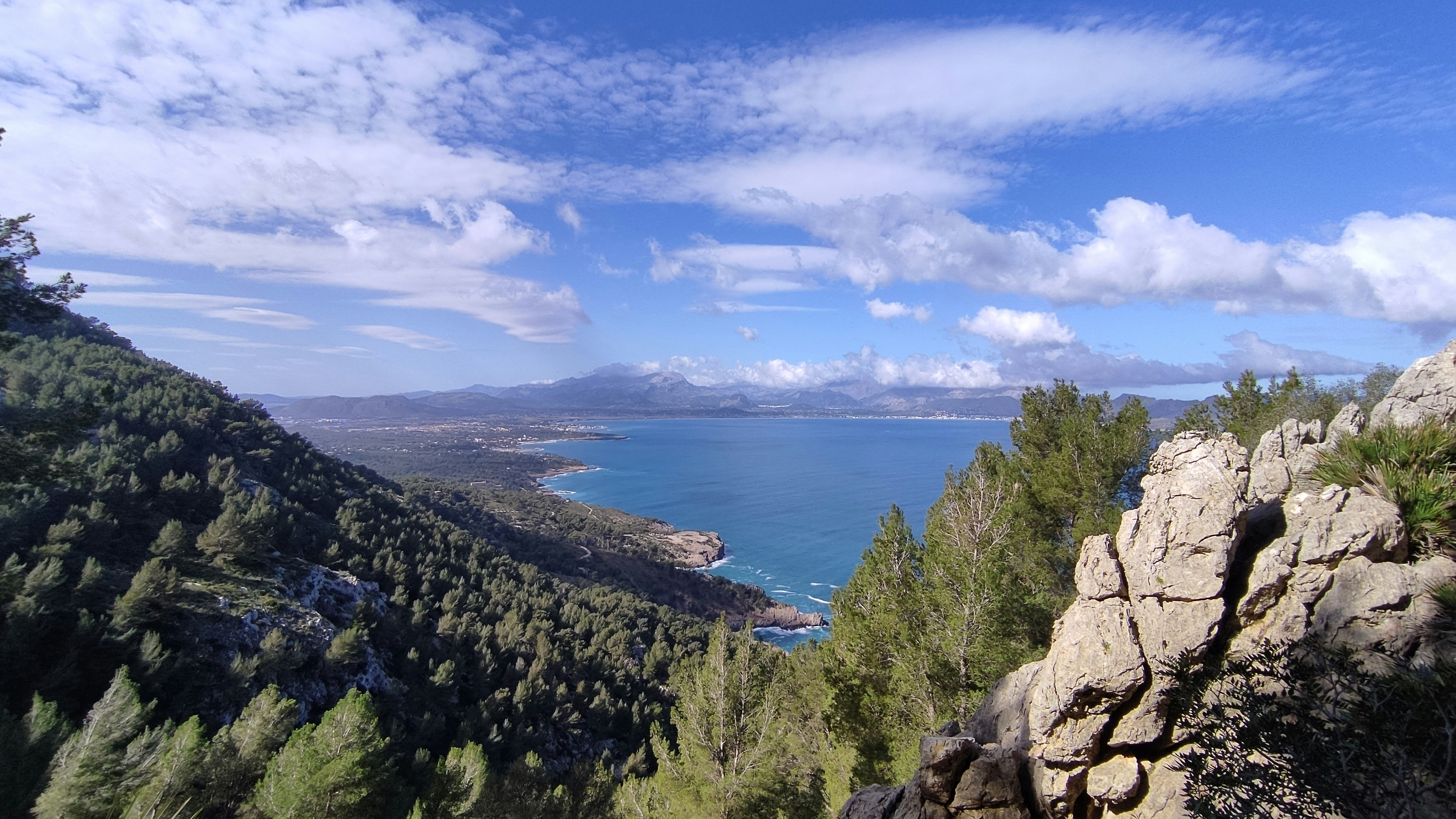 Landscape photograph of a sunlit coastline framed by pine-covered slopes, with a rugged rock foreground and a tranquil turquoise bay stretching to the horizon.