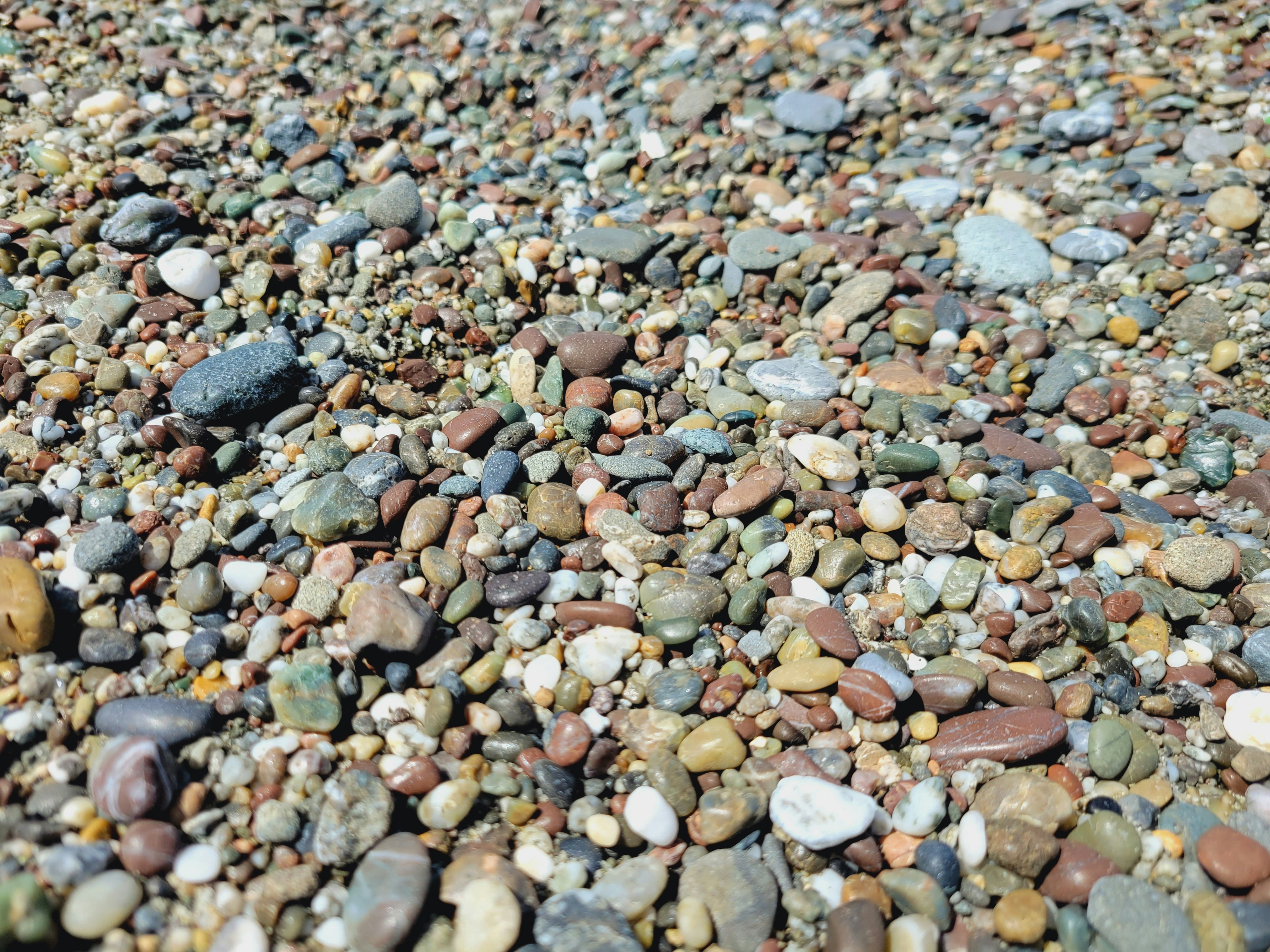 A bunch of rocks that are laying on the ground photo – Free Usa Image ...
