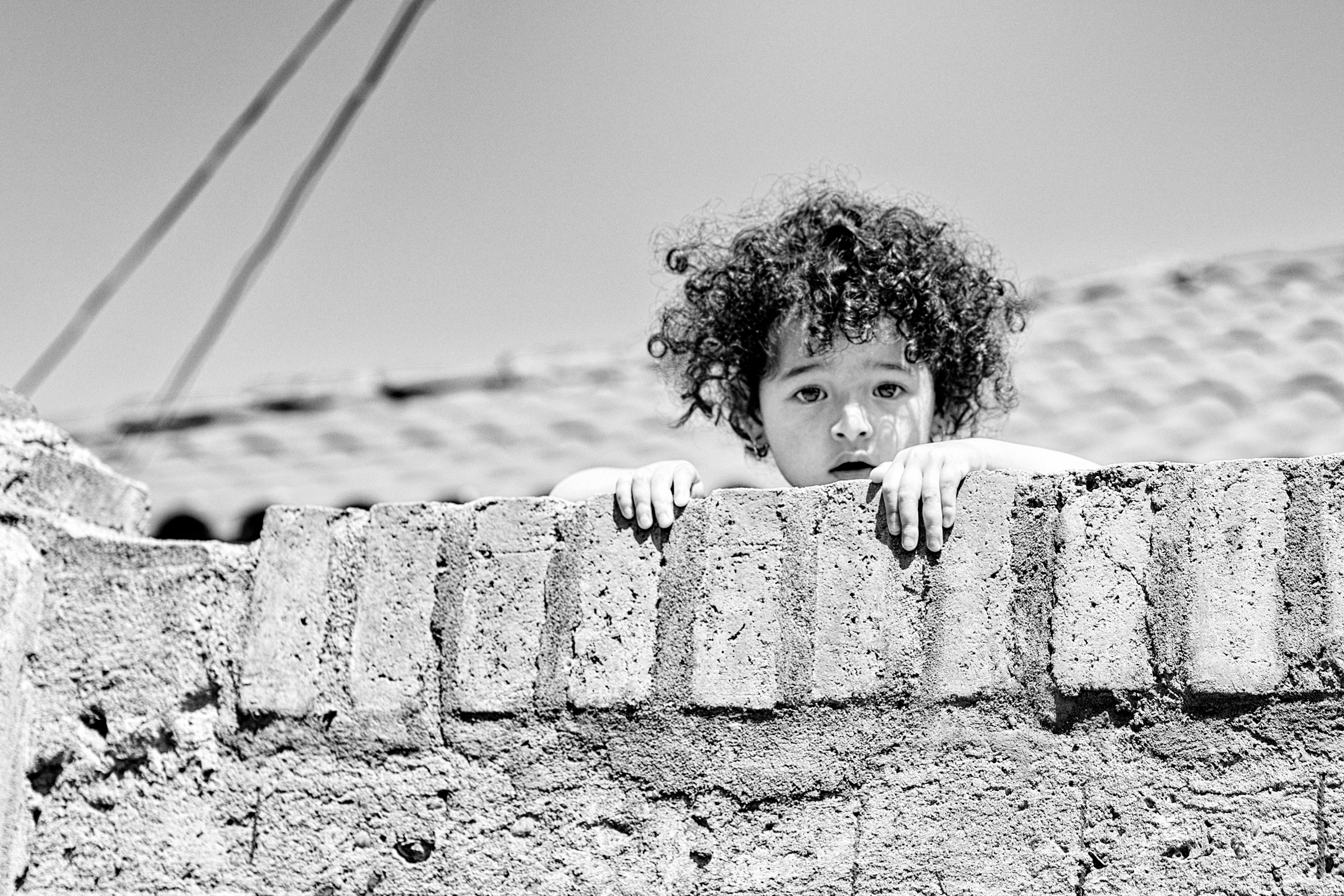 Curious Gaze Over a Weathered Brick Barrier