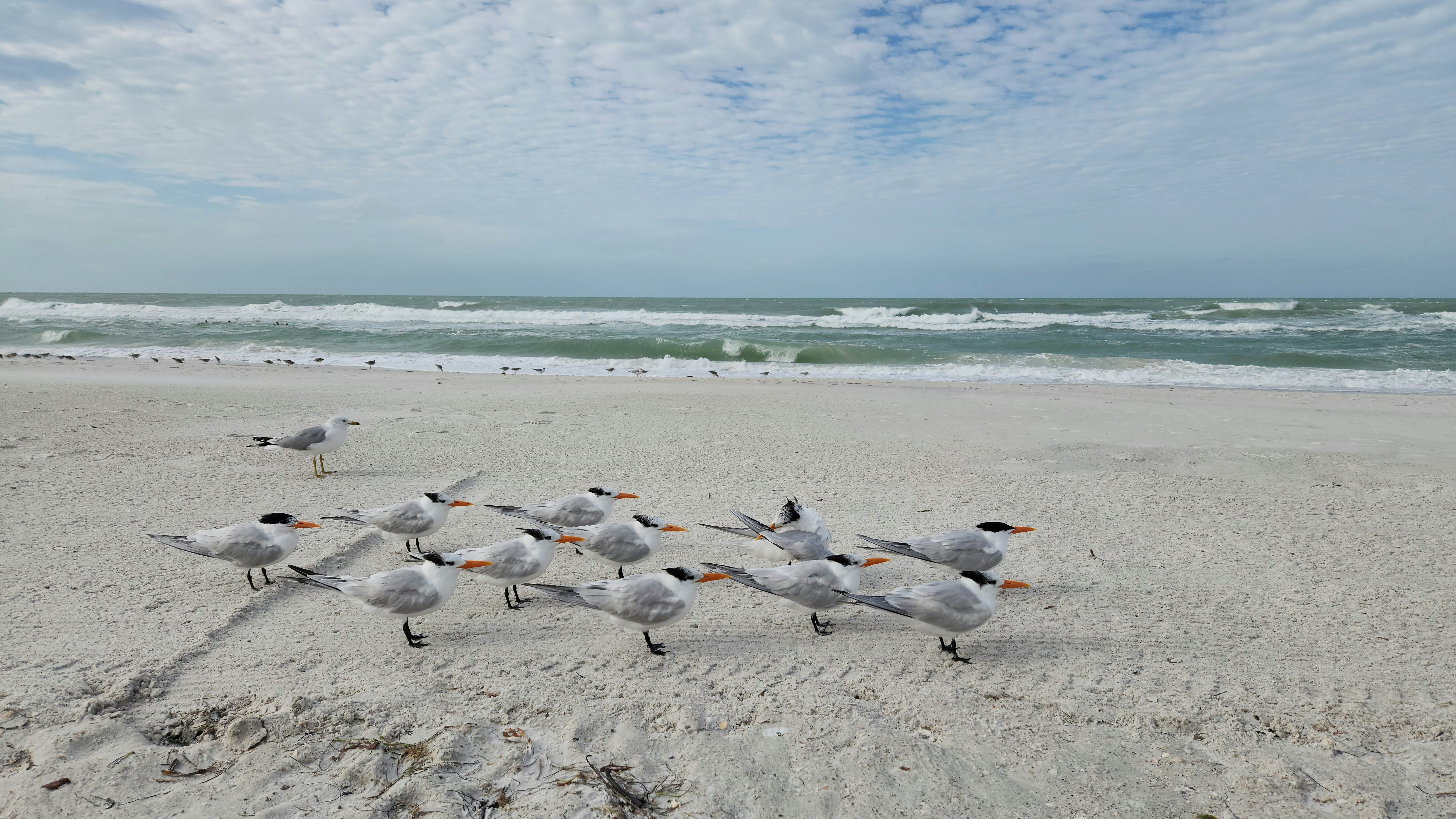 Photo by Sam Hozan with Samsung Galaxy S22 Plus