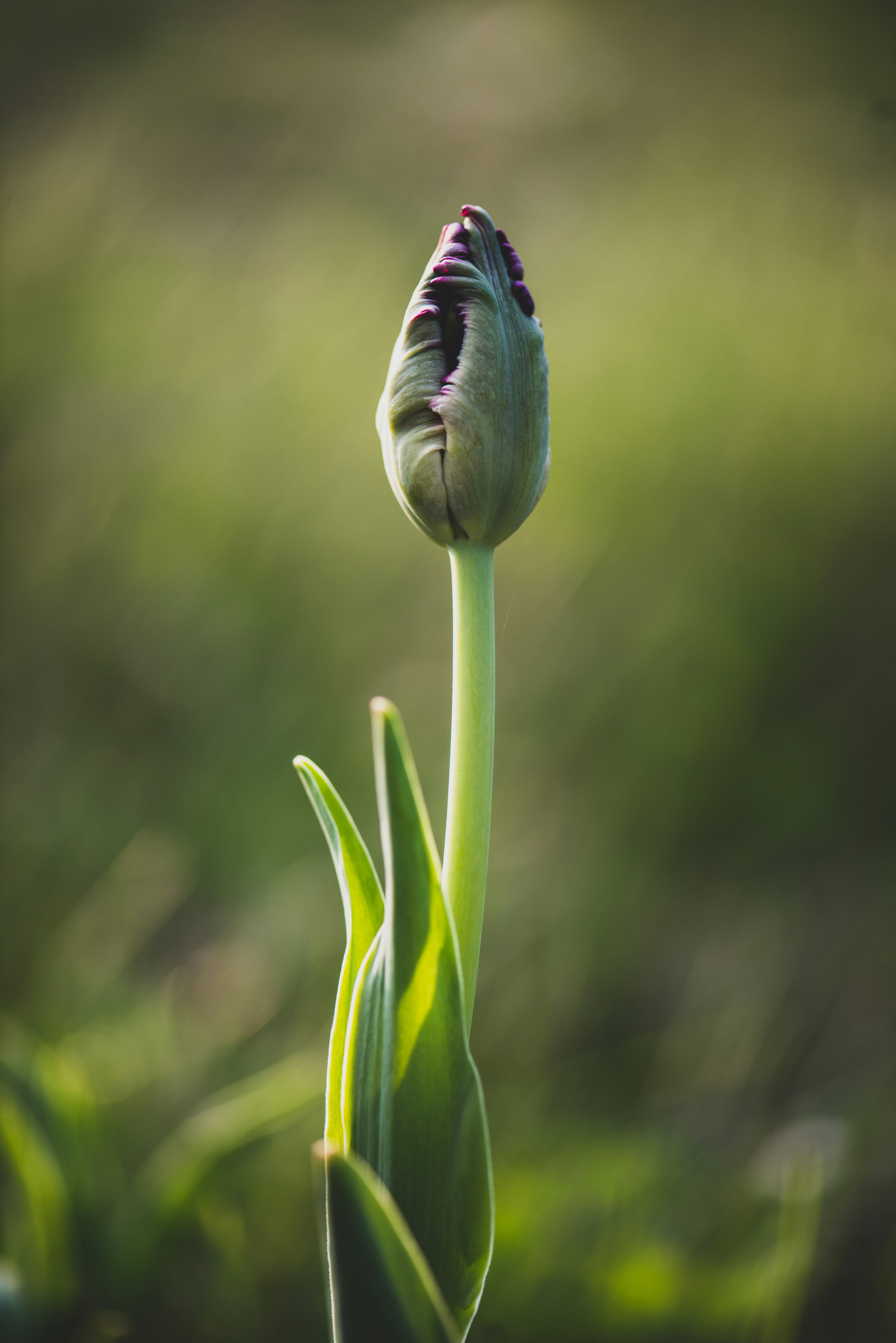 Still Here - Paul Boynton - Begin with Yes