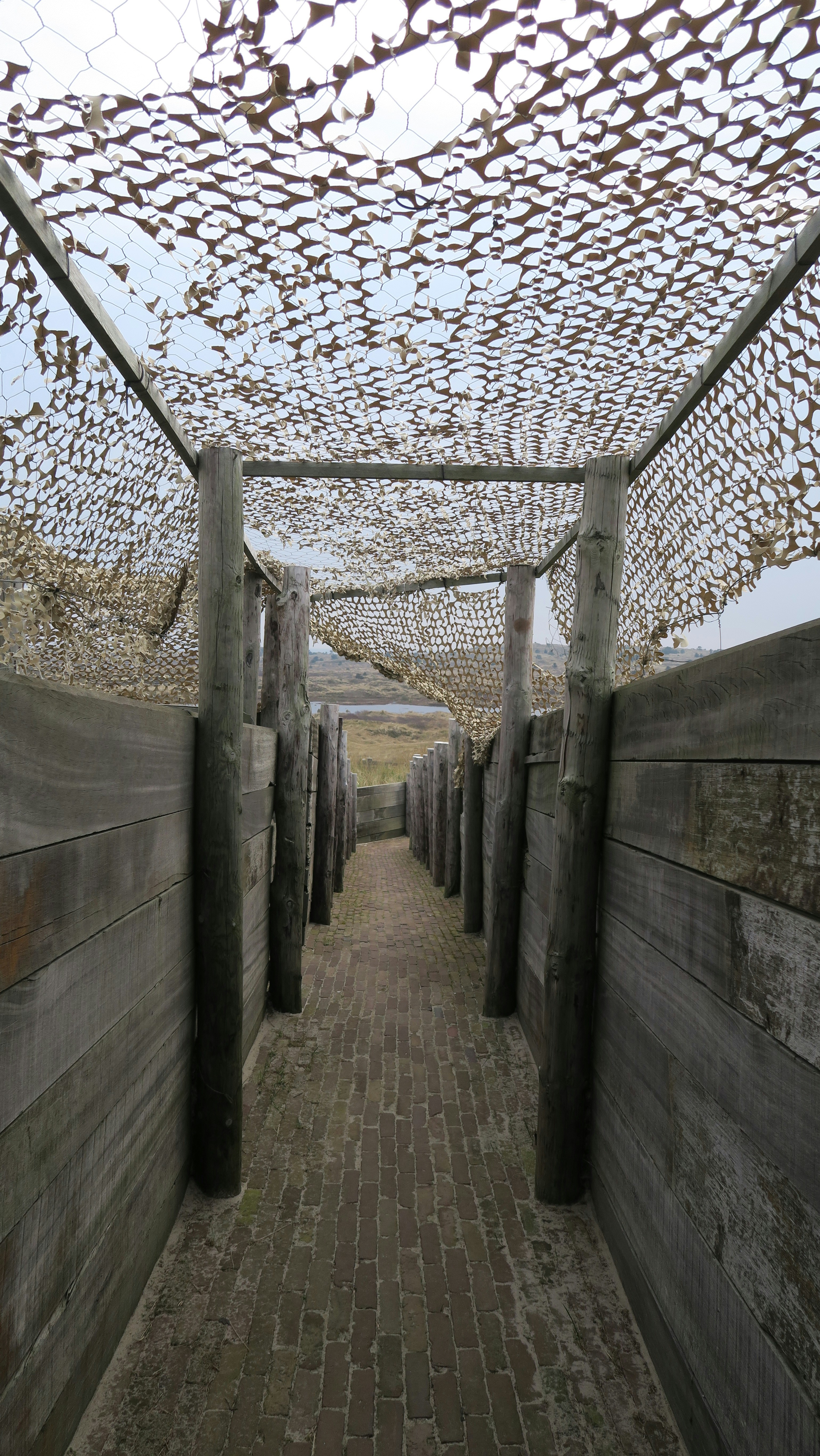 A walkway lined with wooden posts and netting photo – Free Walkway ...
