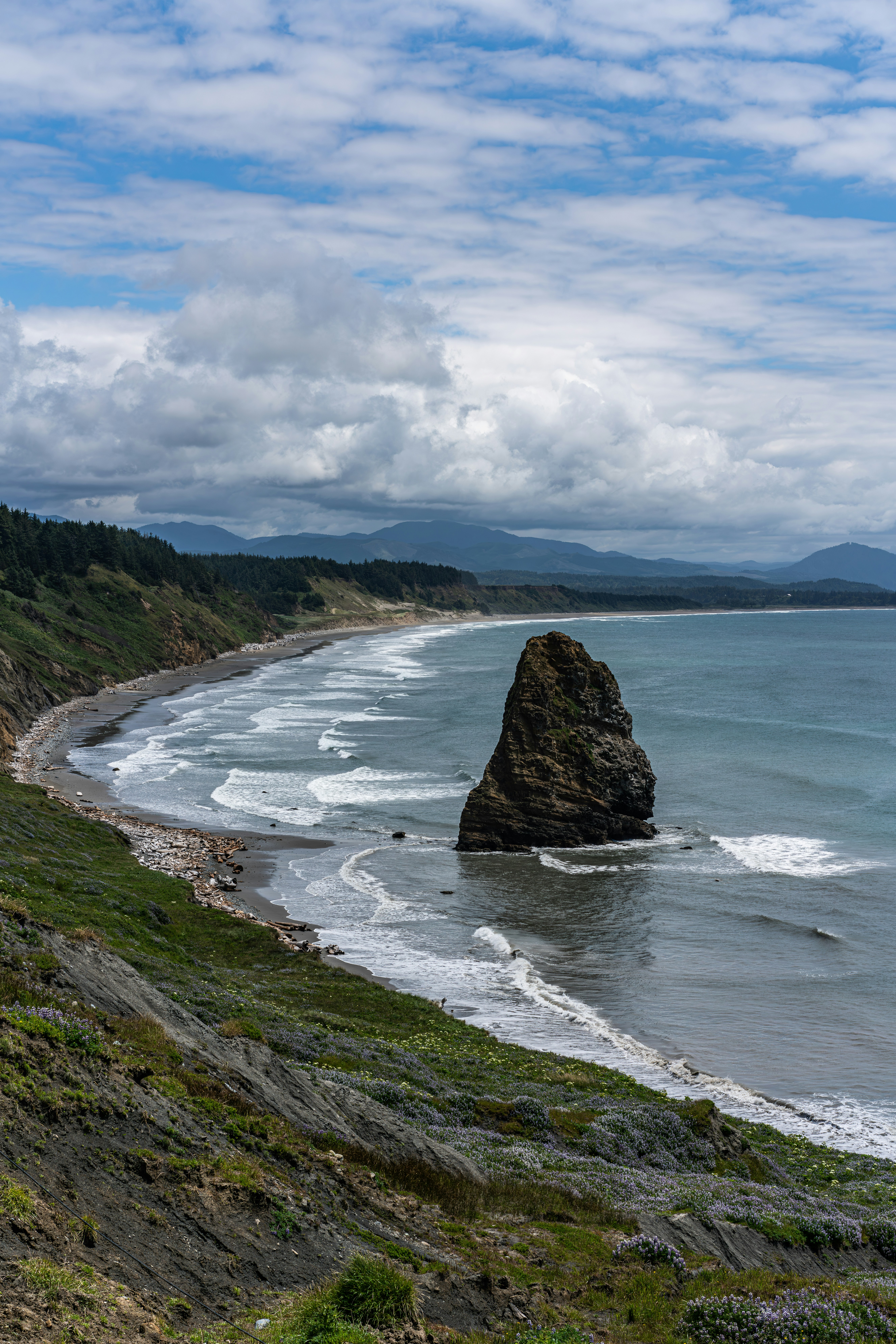 Sea-Stack Sentinel Beneath Brisk Coastal Skies