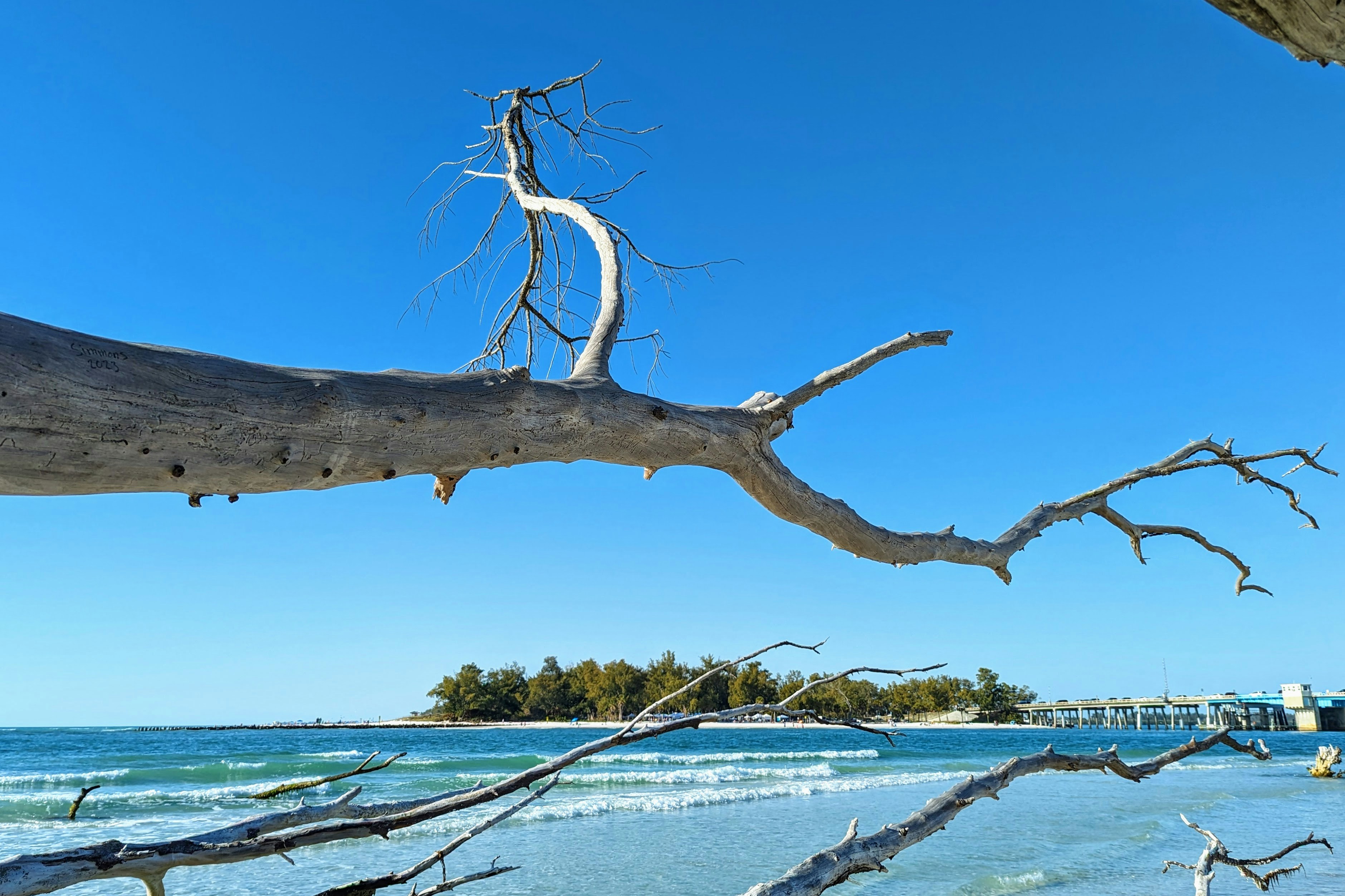 A dead tree branch sticking out of the water photo – Free Human Image ...