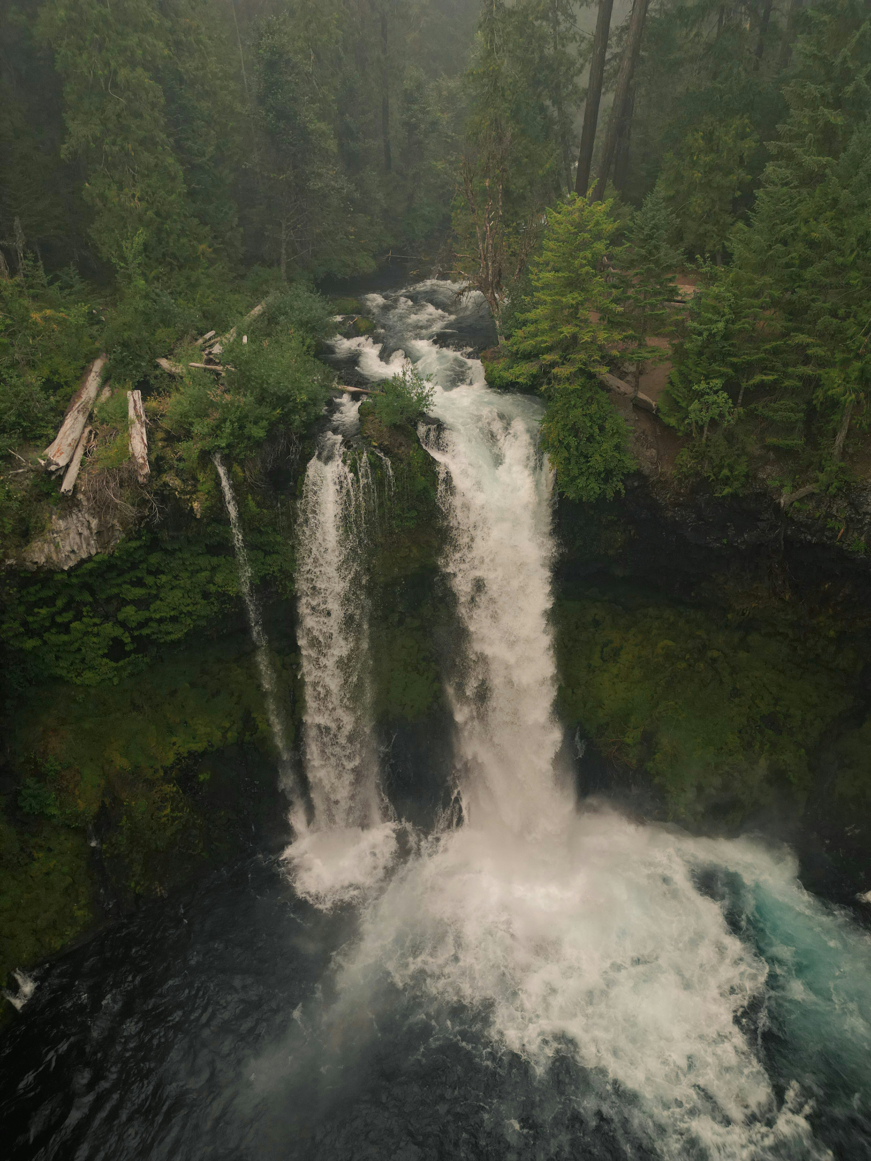 Oregon paradise | a large waterfall in the middle of a forest