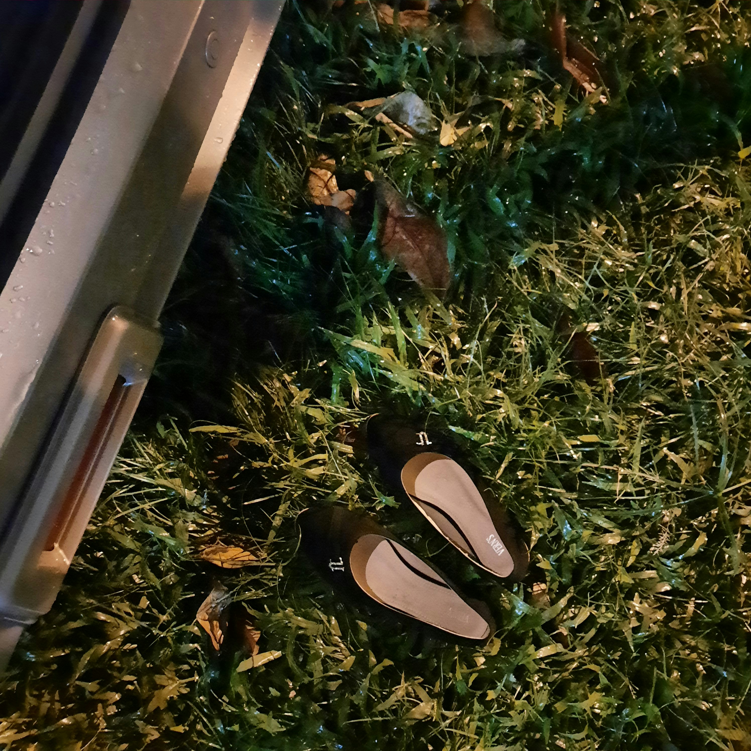 Photo by Nursyazana Izzati Ramzi with Samsung Galaxy A51