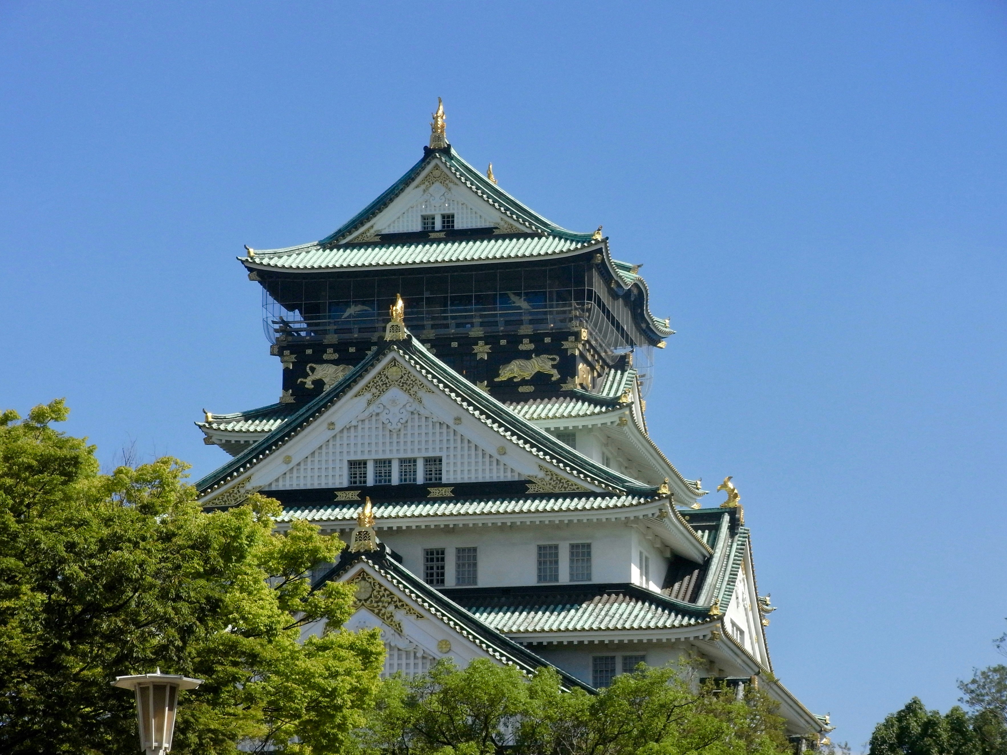 Sample photo from Ricoh R10