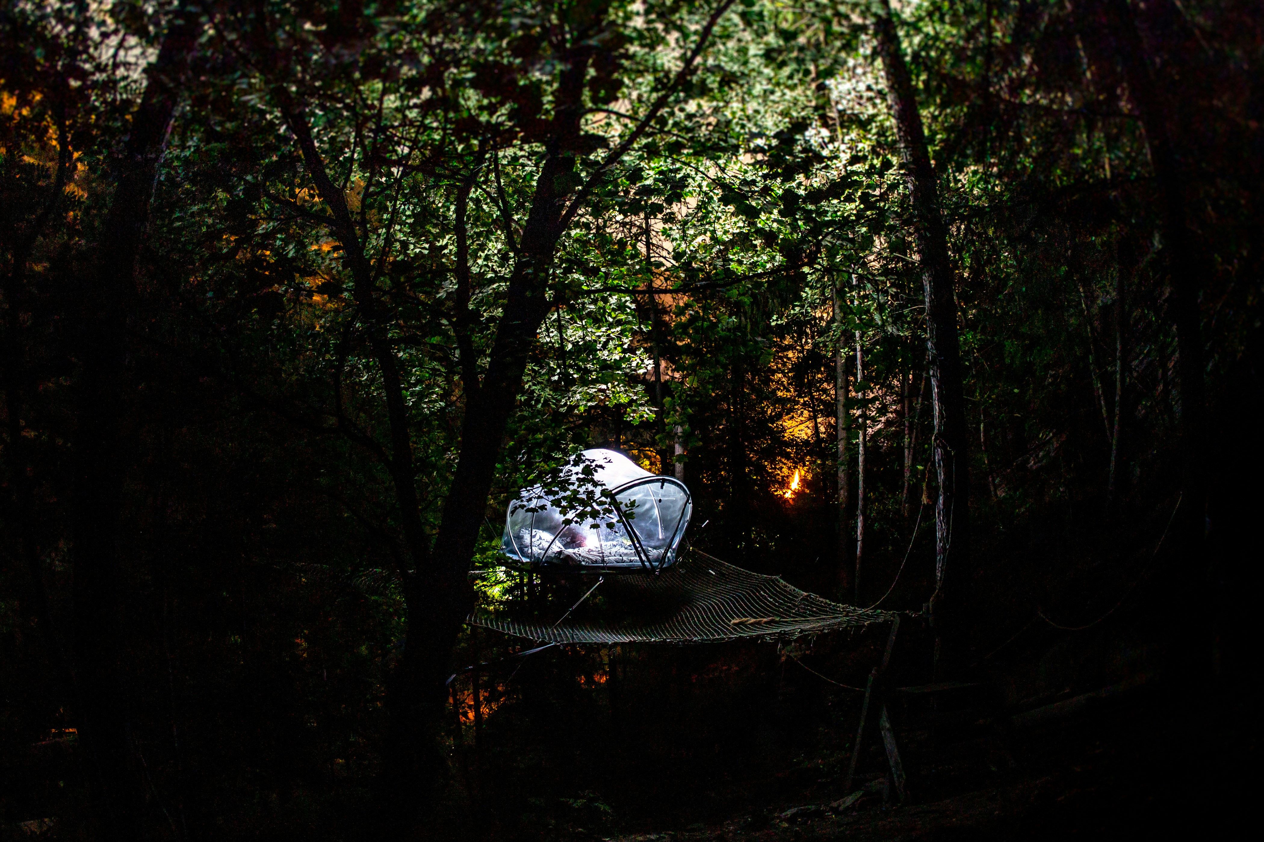 Suspended Serenity: A Cocoon in the Canopy