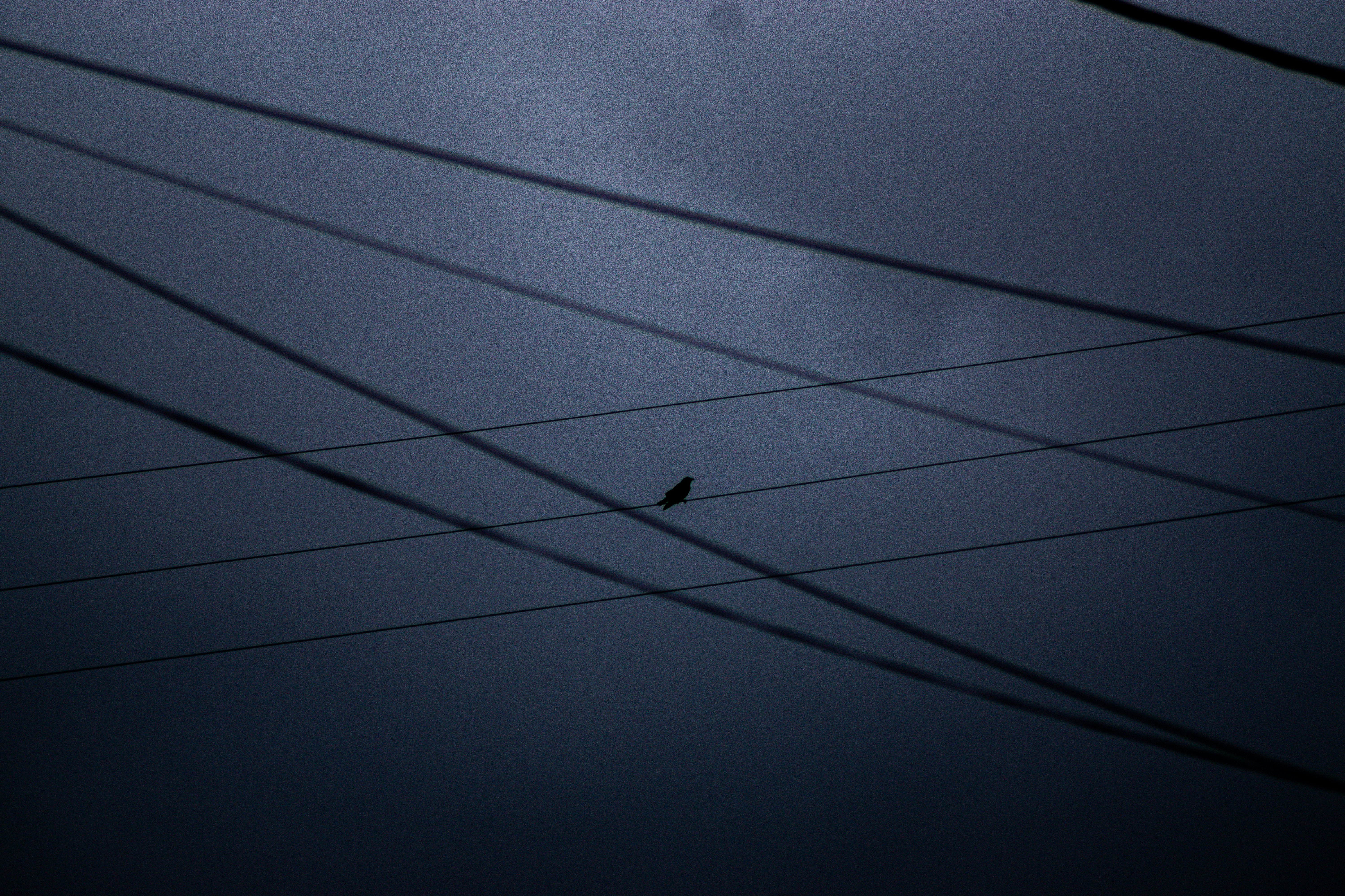 Photo by Diogo Cardoso with Sony Alpha 6000