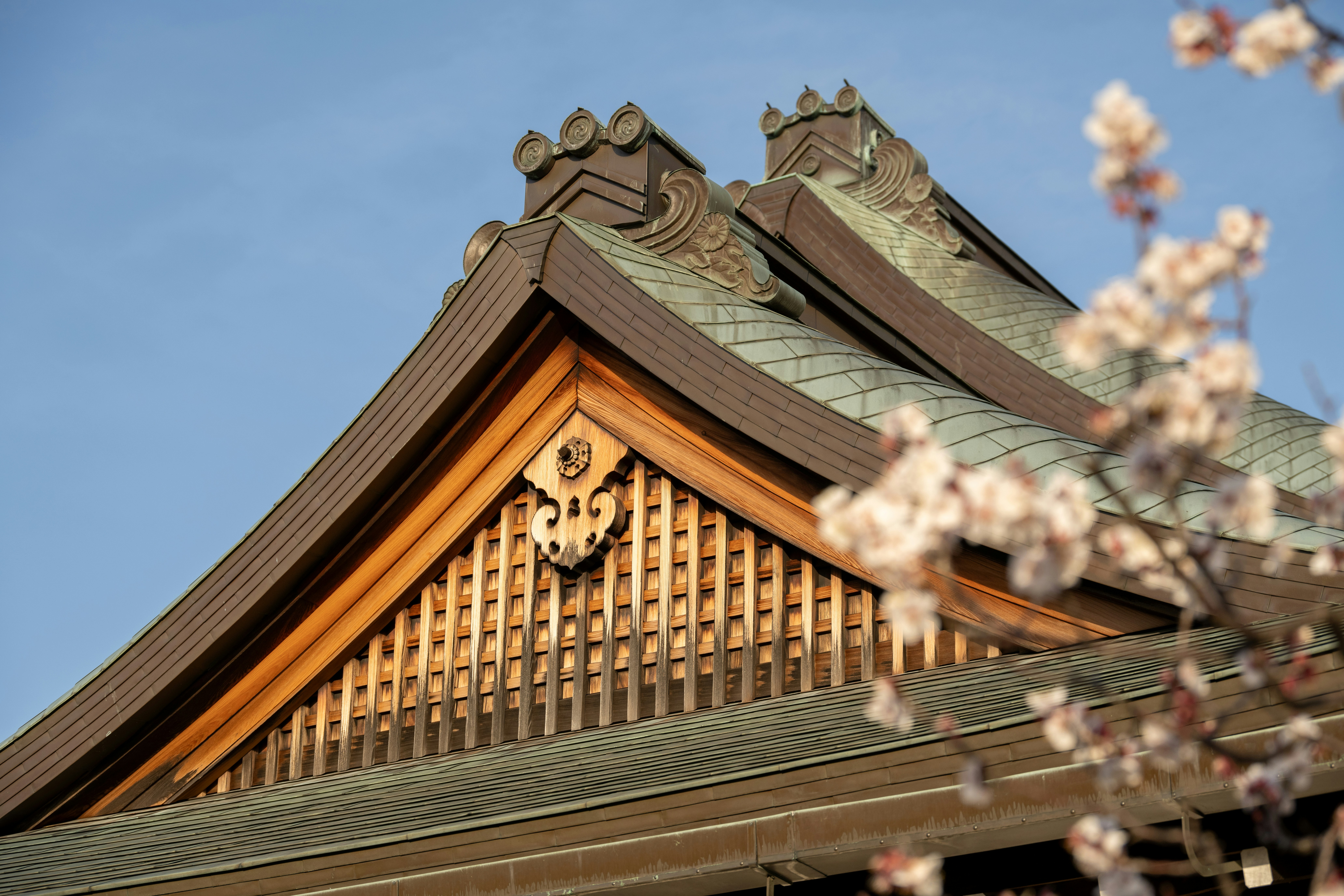 Photo by Young Kane with Nikon Z7 II