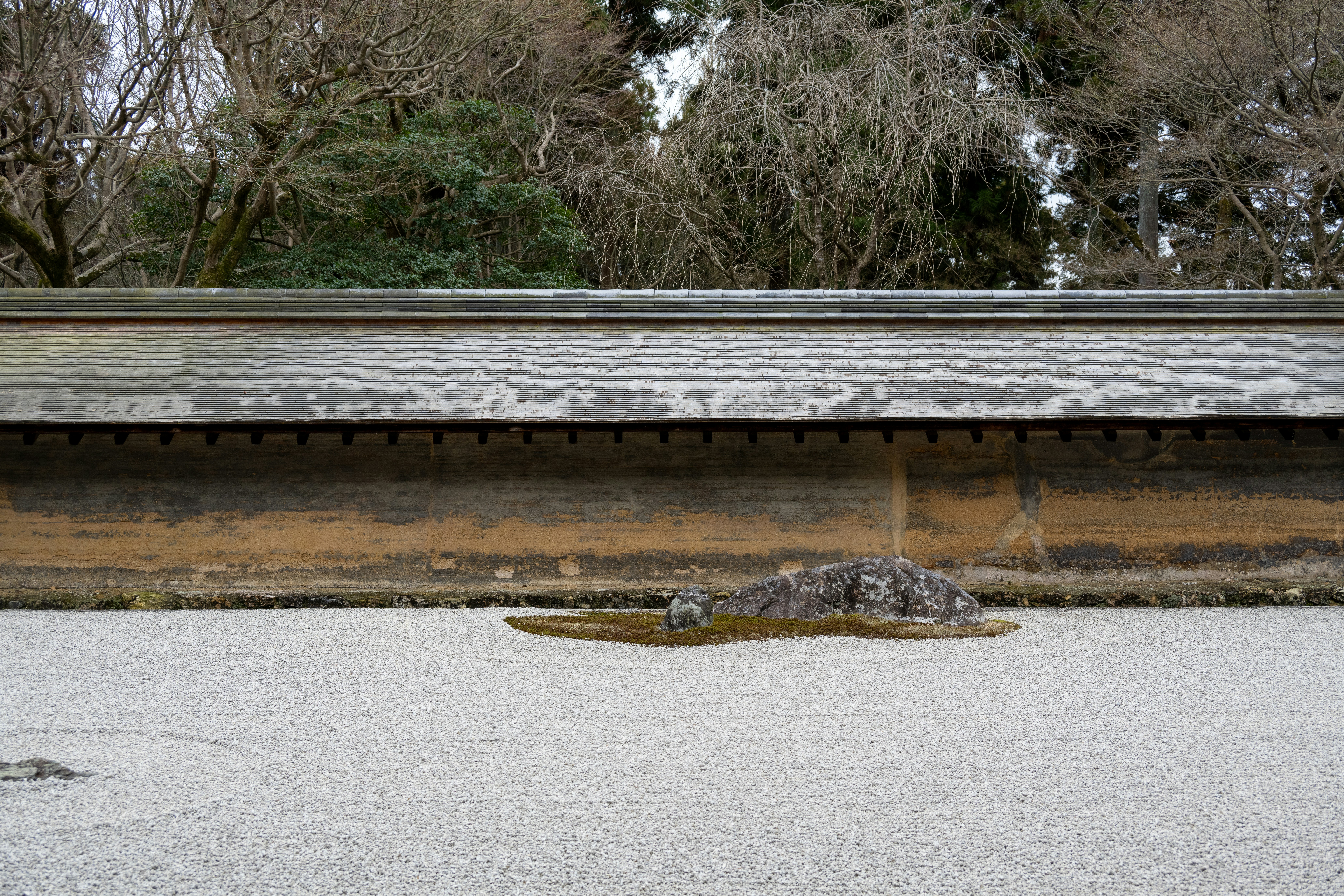 Photo by Young Kane with Nikon Z7 II