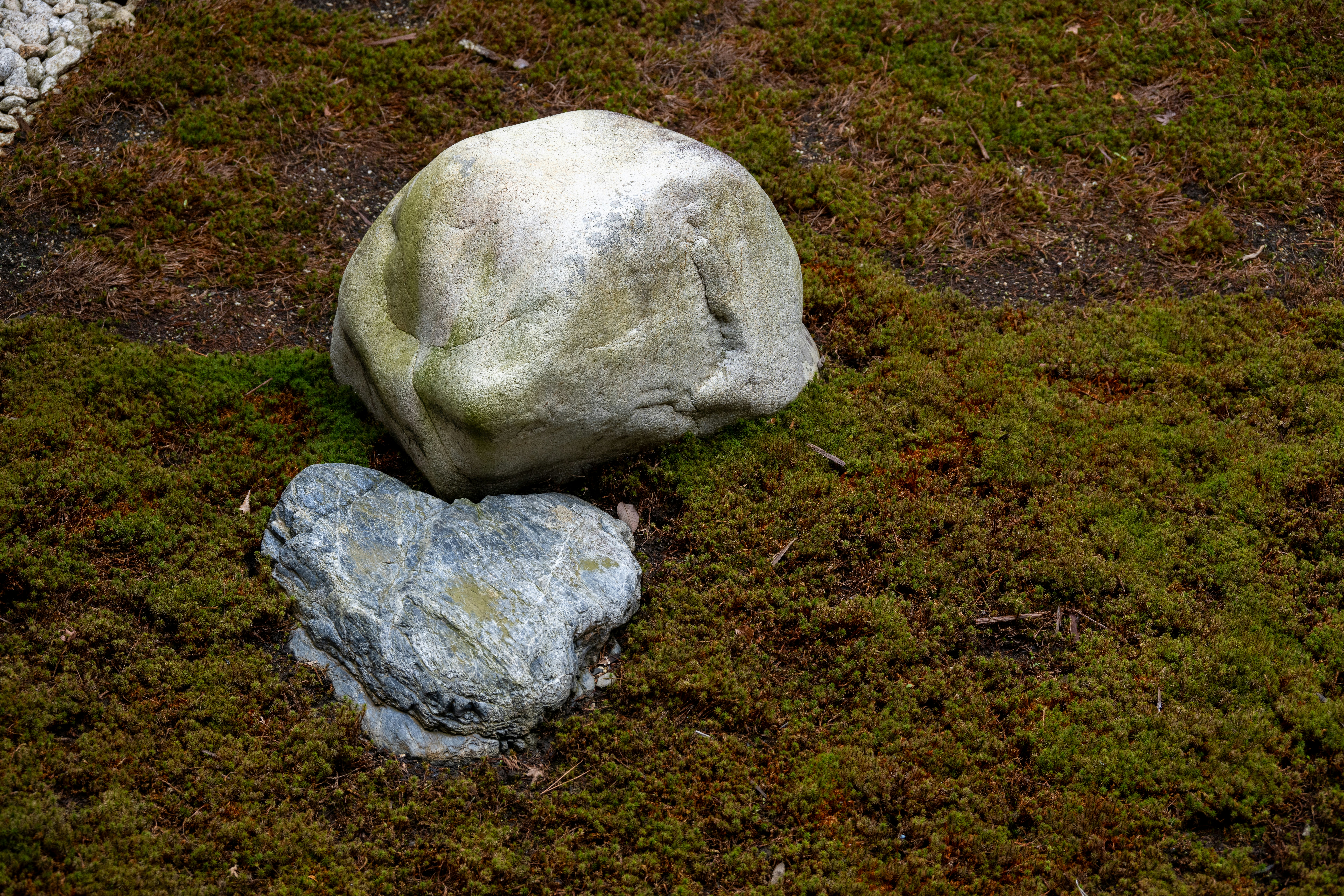 A rock sitting on top of a lush green field photo – Free Human Image on ...