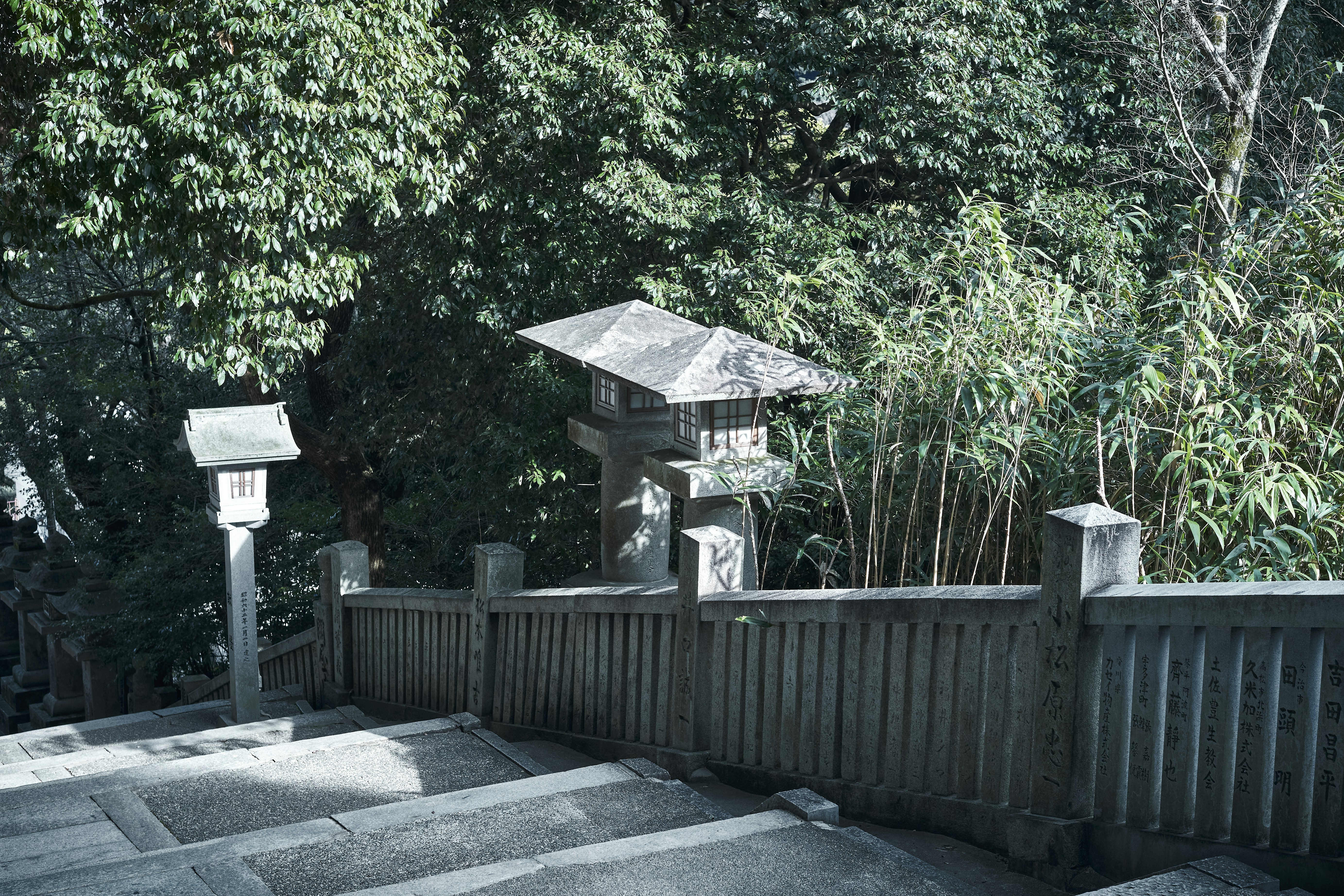 Lantern Steps in a Shaded Garden Corridor