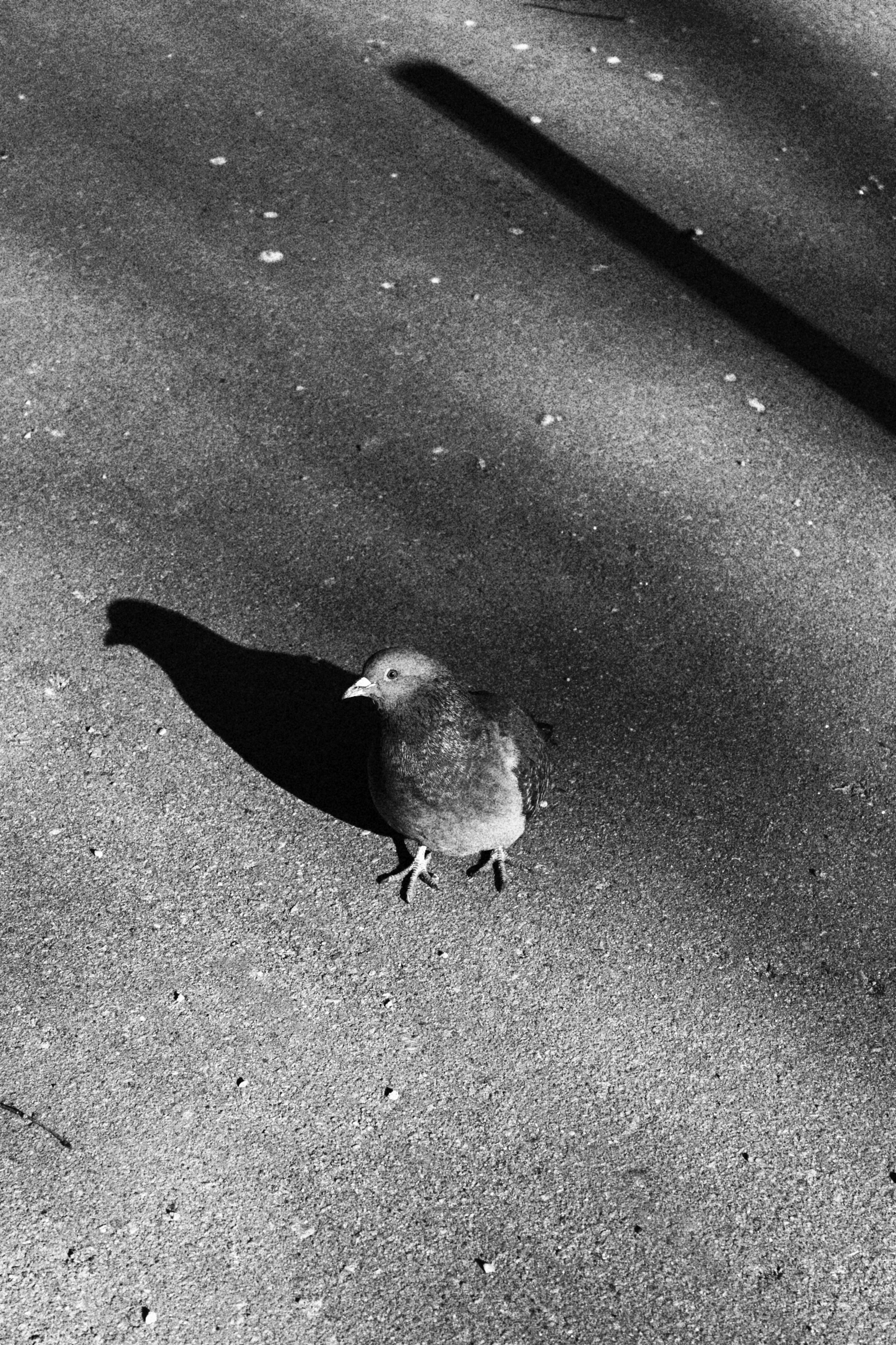 Photo by Maxim Yuryshev with Canon EOS 700D