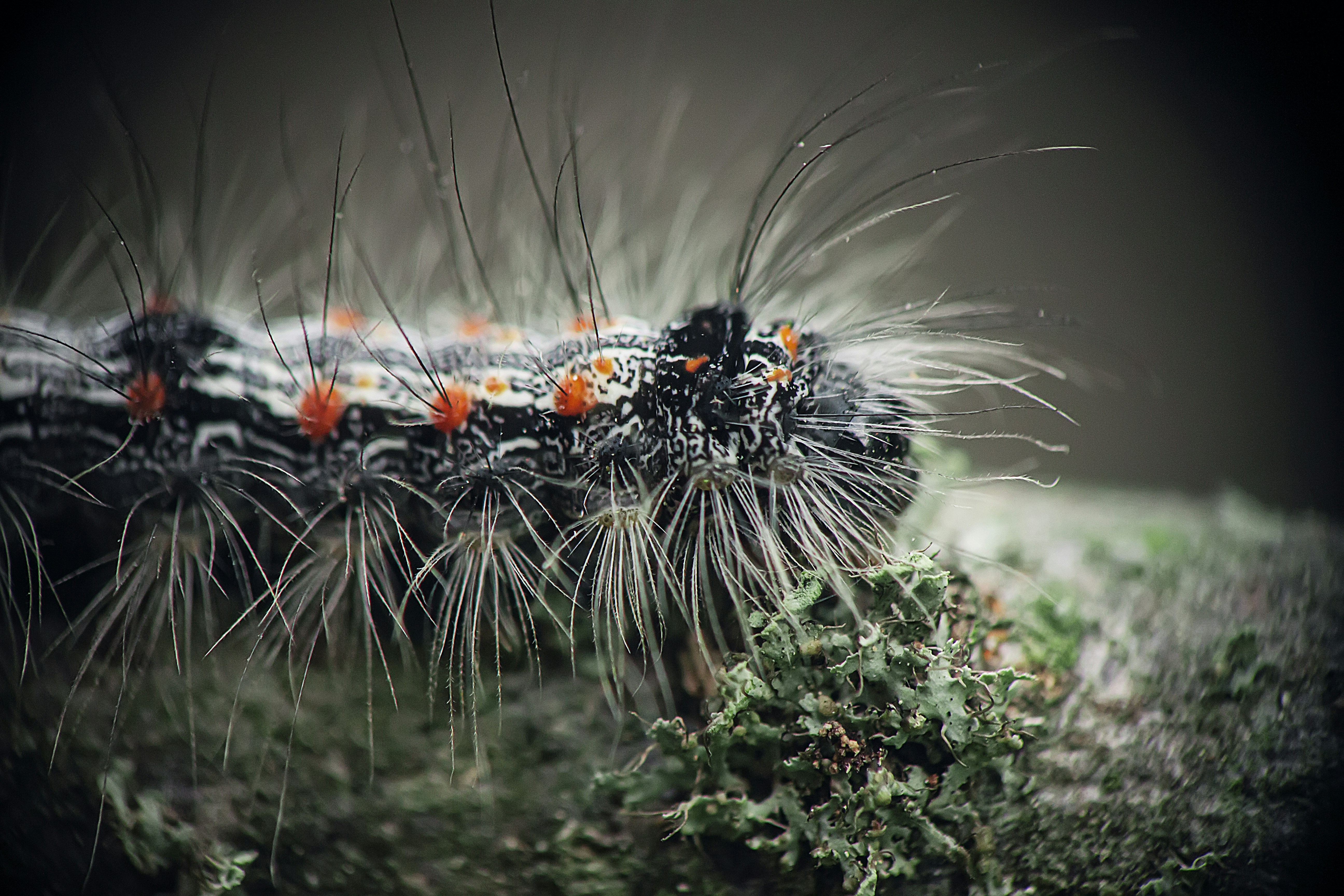 Photo by Рома Морозов with Canon EOS 600D