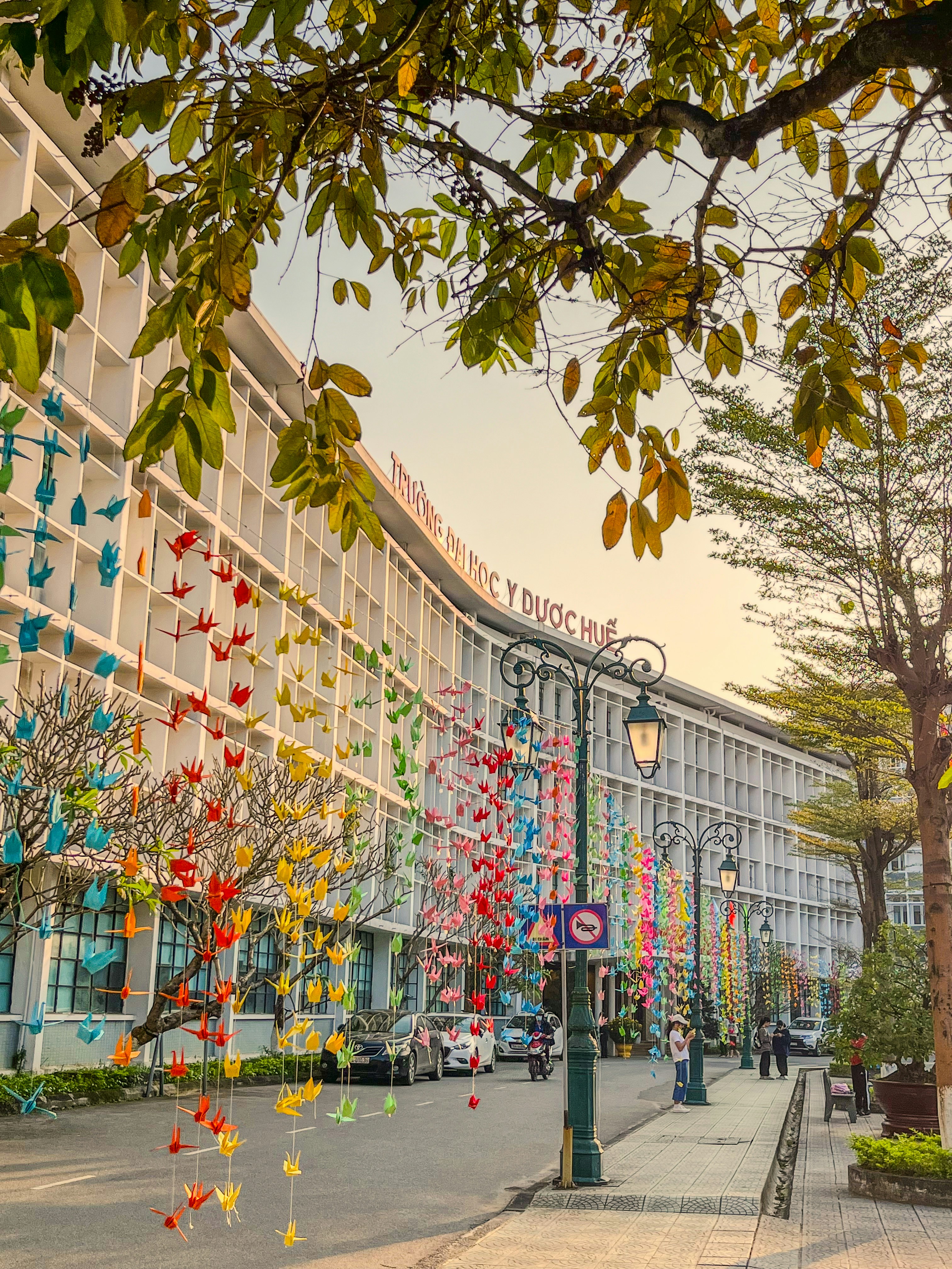 Colorful Origami Cranes Cascade Along a Glass-Faced Campus