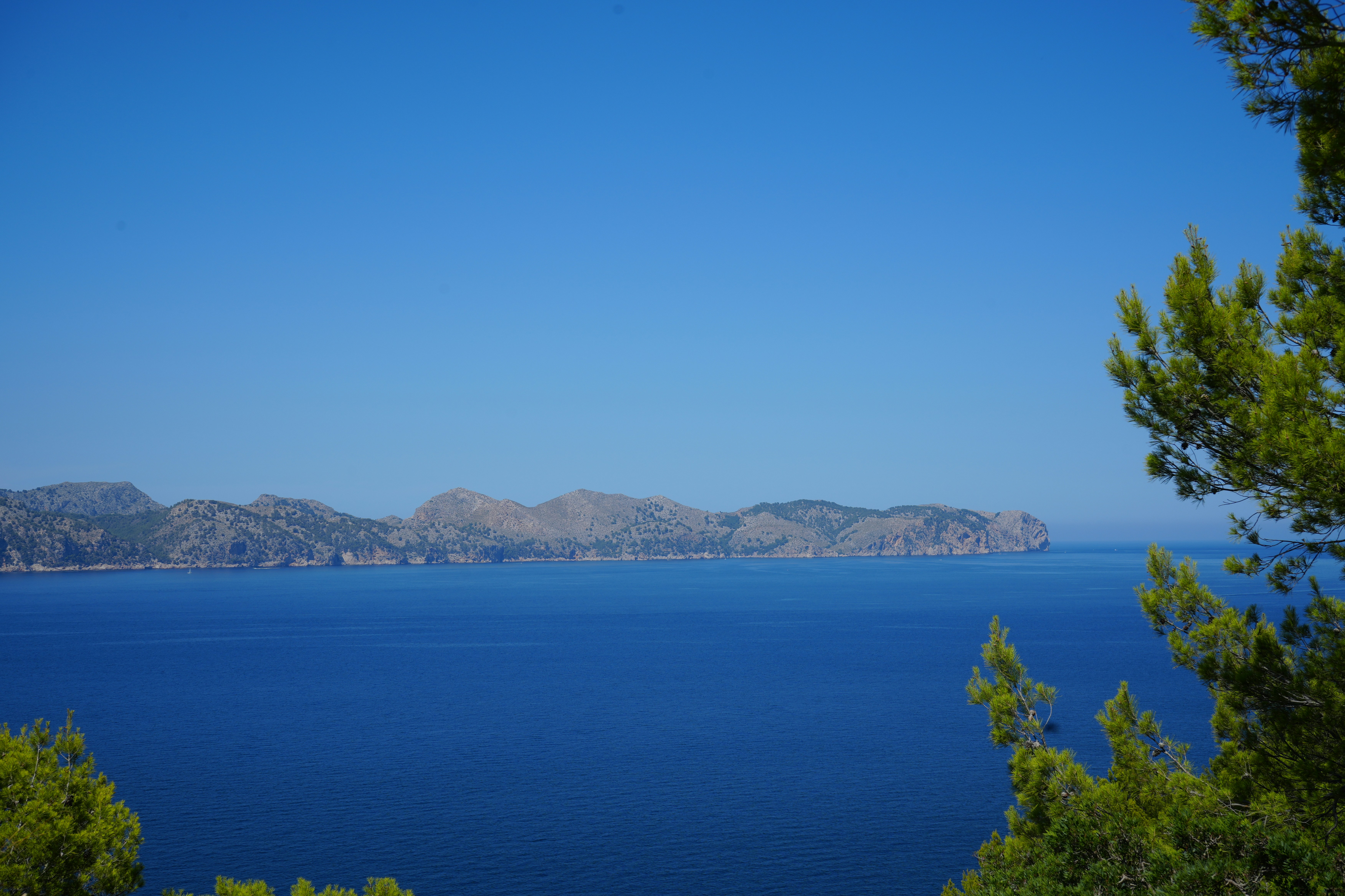 Photo by Gian-Carlo Zimmermann with Sony Alpha 7 IV