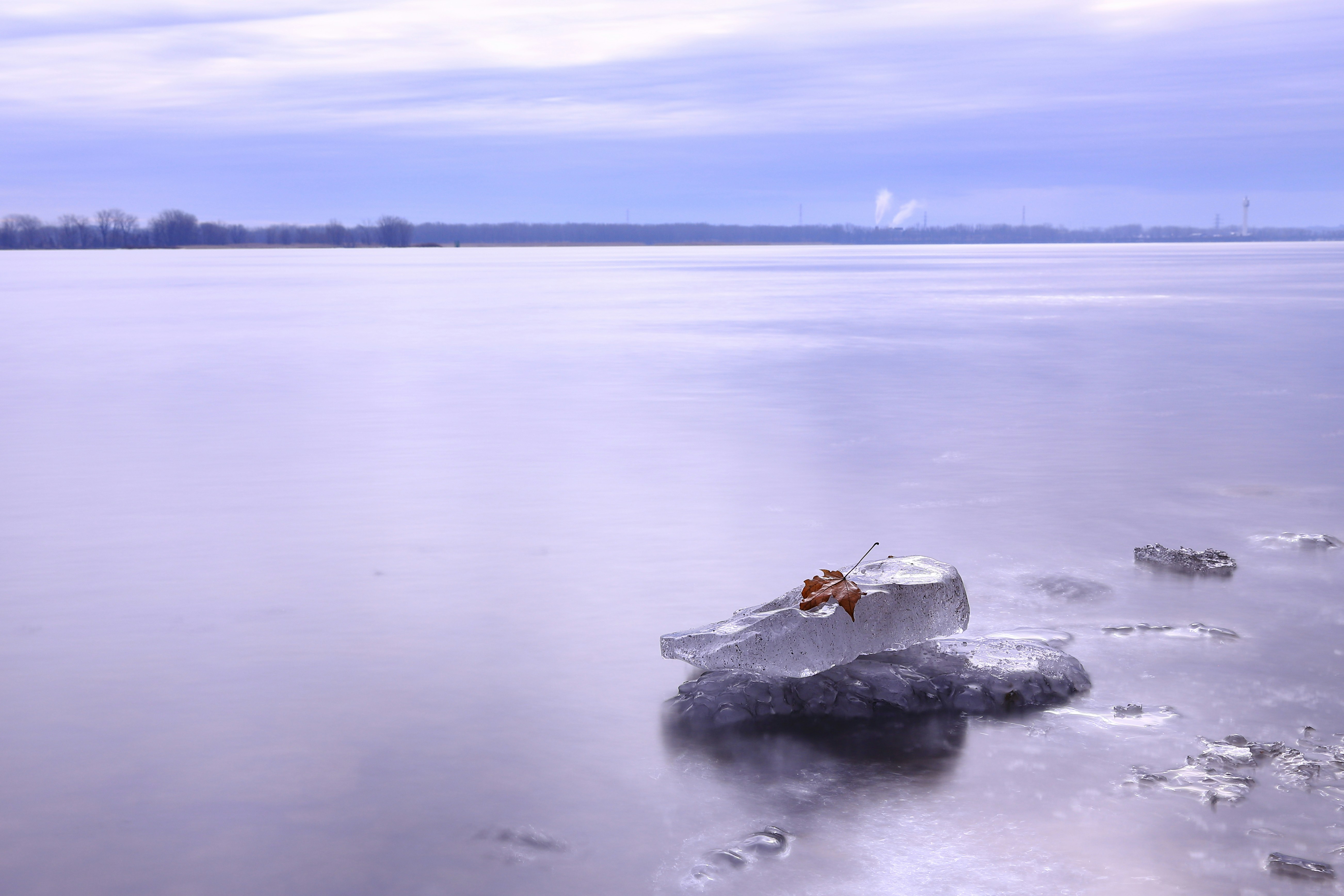 Leaf on Ice at Lavender Lake: a quiet beacon in frozen hush