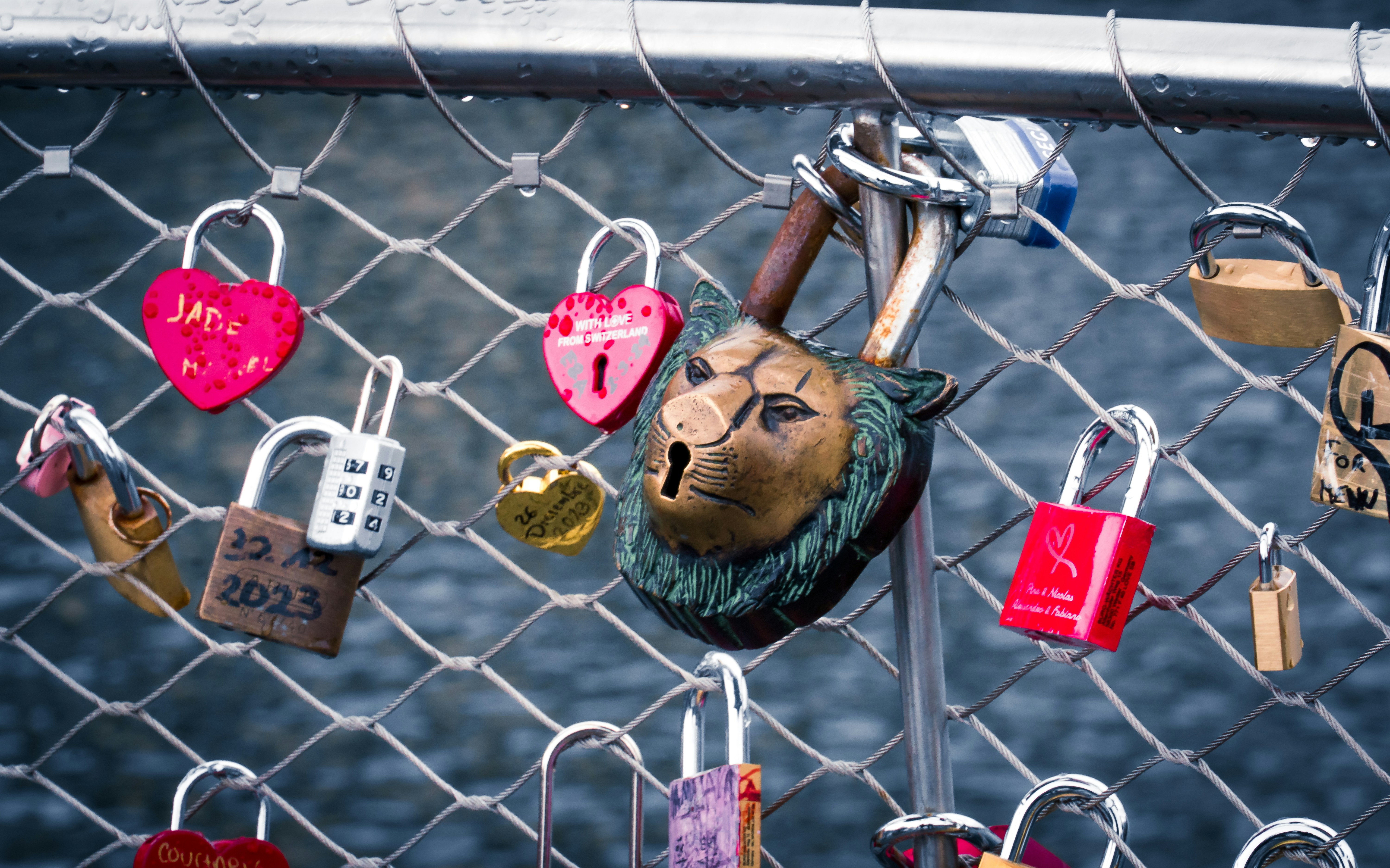 Tiger-Head Amid Heart Locks: A Chain-Link Mosaic of Affection