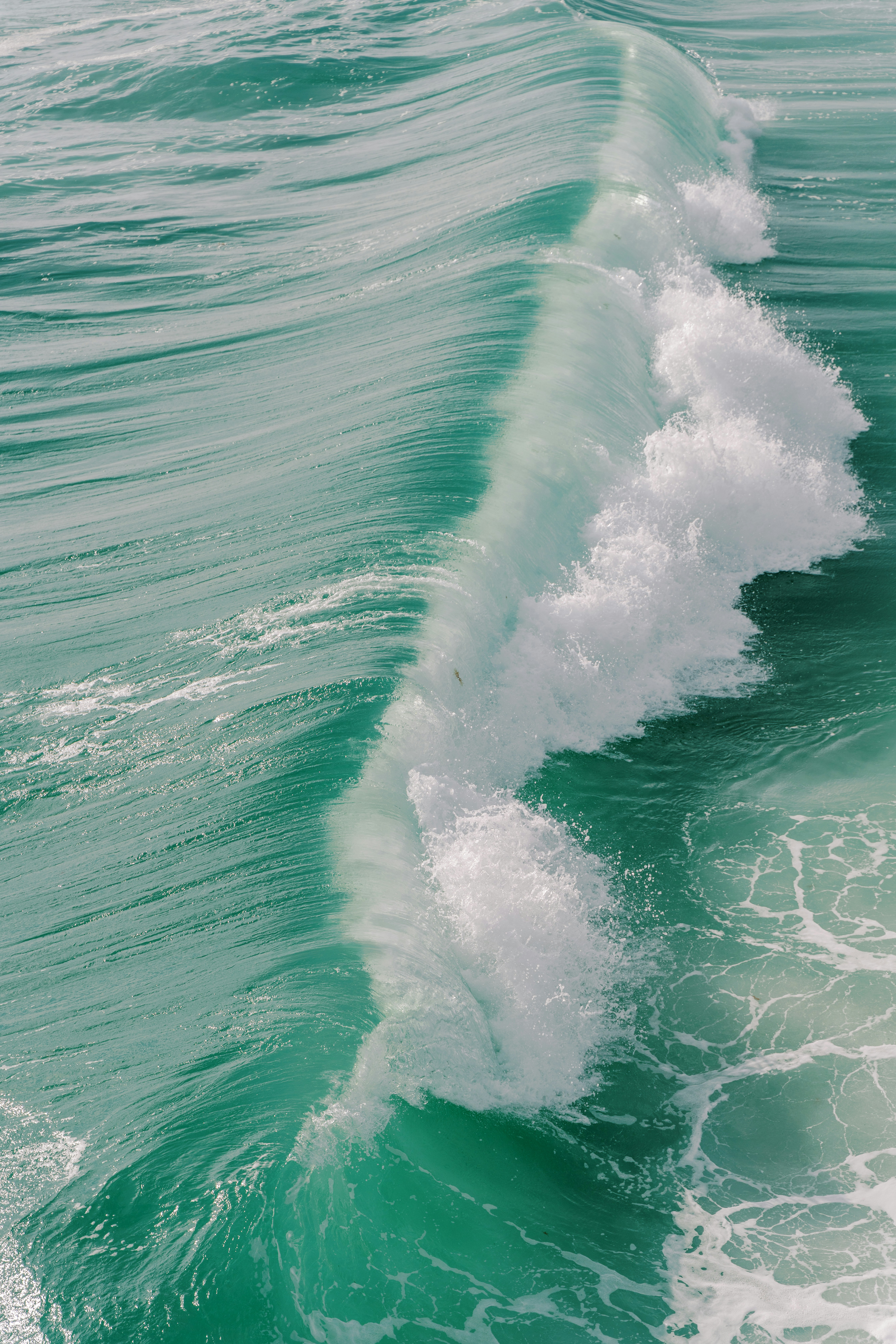 A large wave is coming towards the shore photo – Free Grey Image on ...