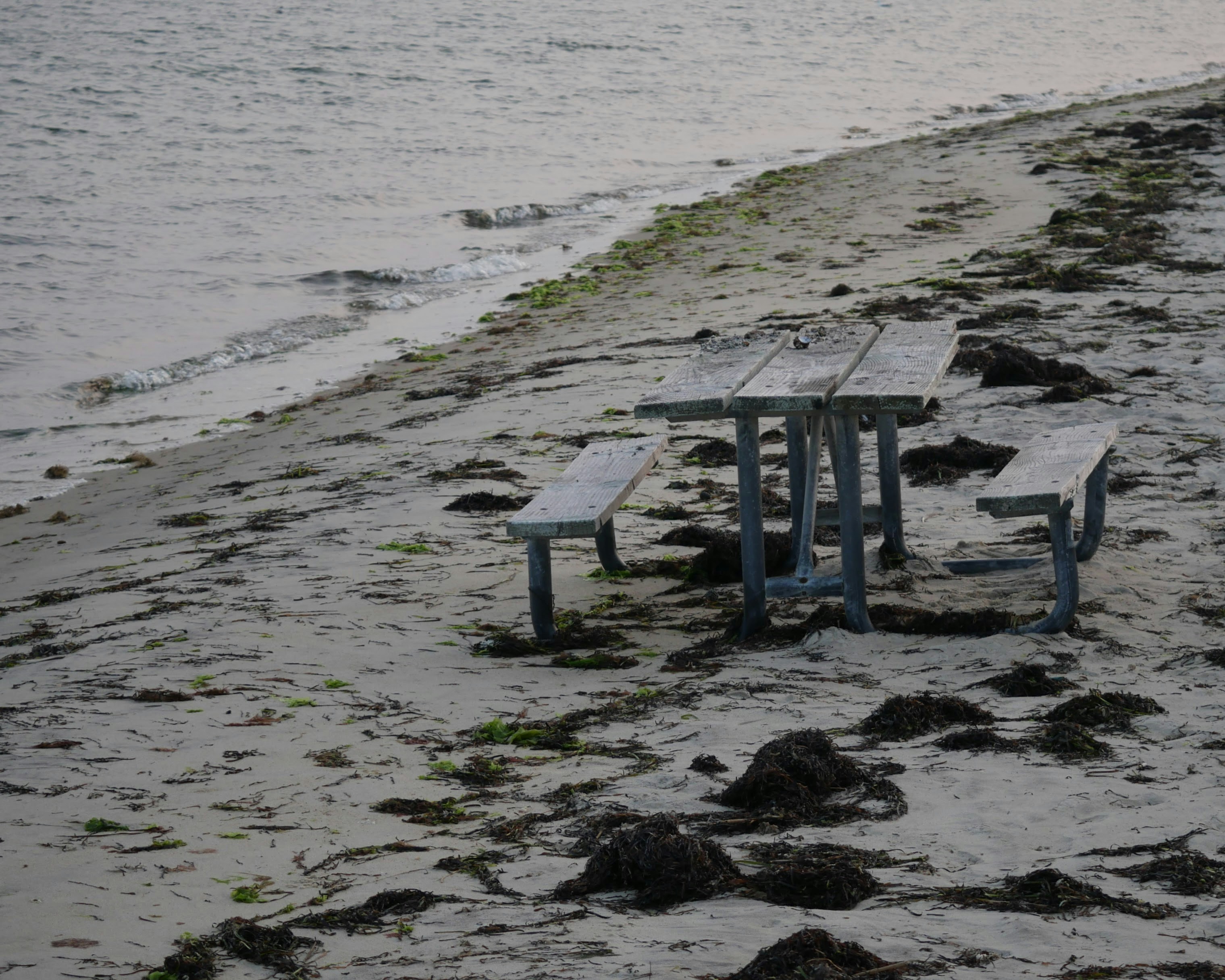 Weathered Blue Picnic Table Anchored on a Quiet Shoreline