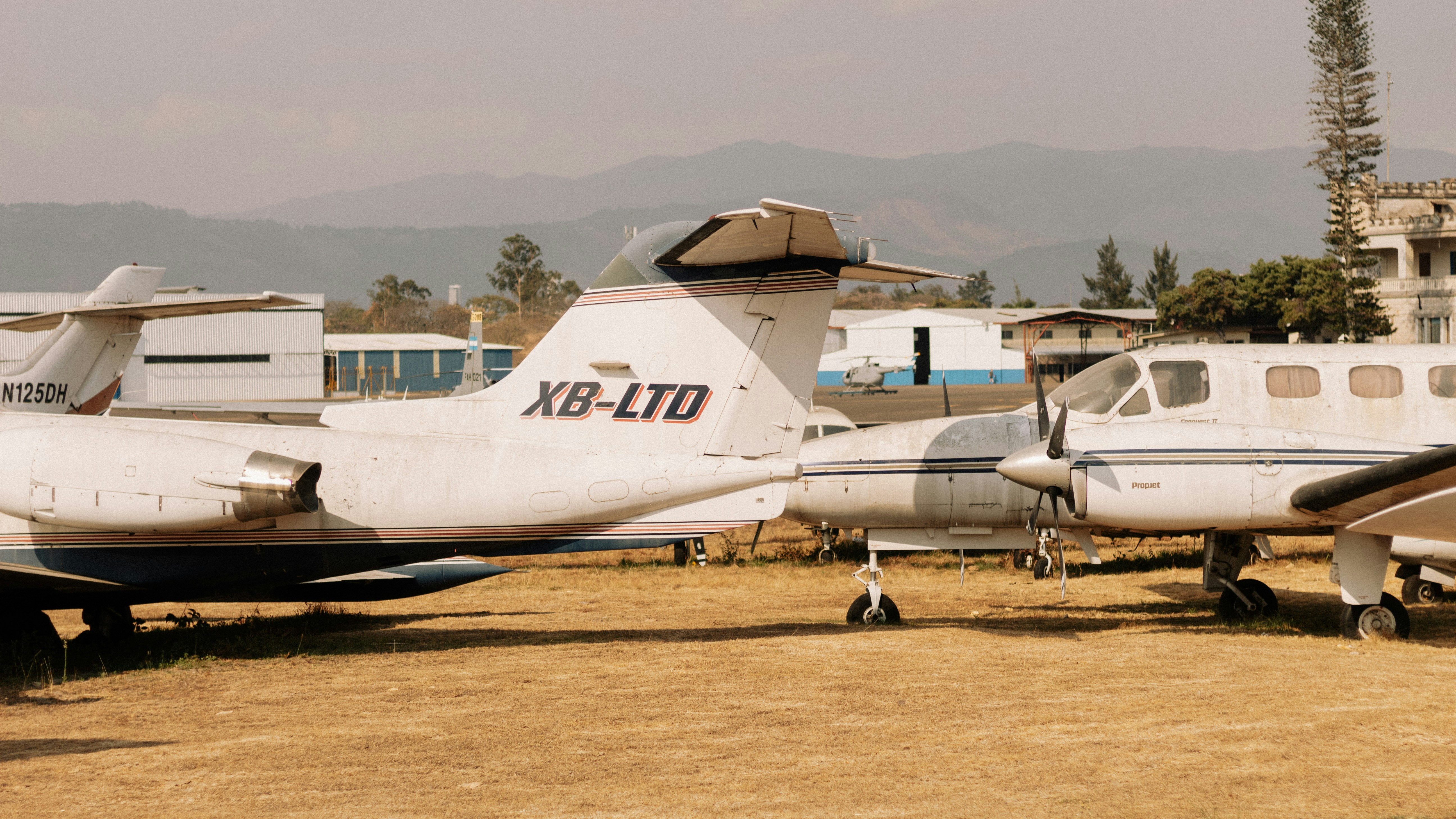 Photo by Manuel Figueroa with Canon EOS 1300D