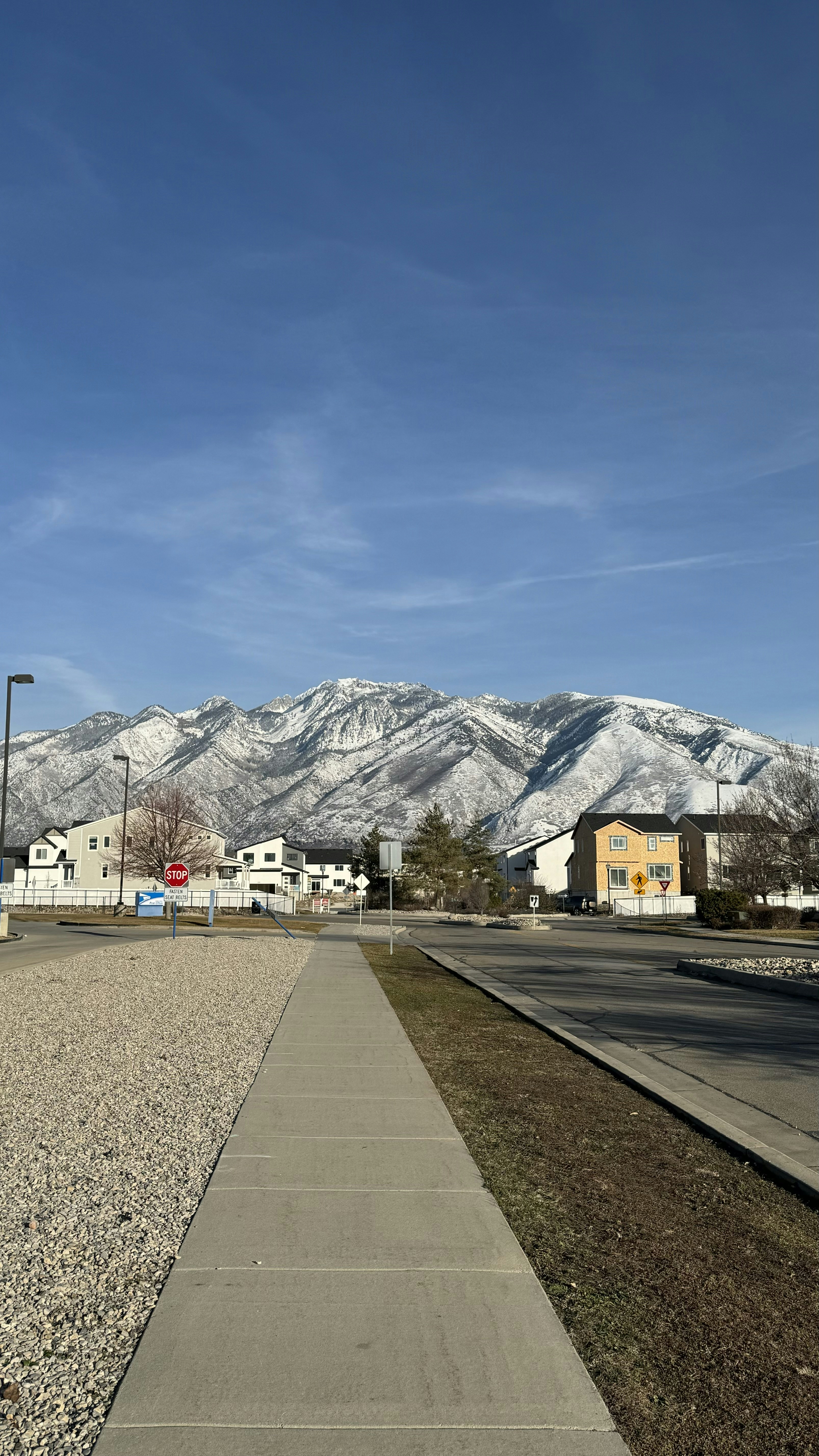 Photo by Gabriella Tolentino with Apple iPhone 15 Pro Max