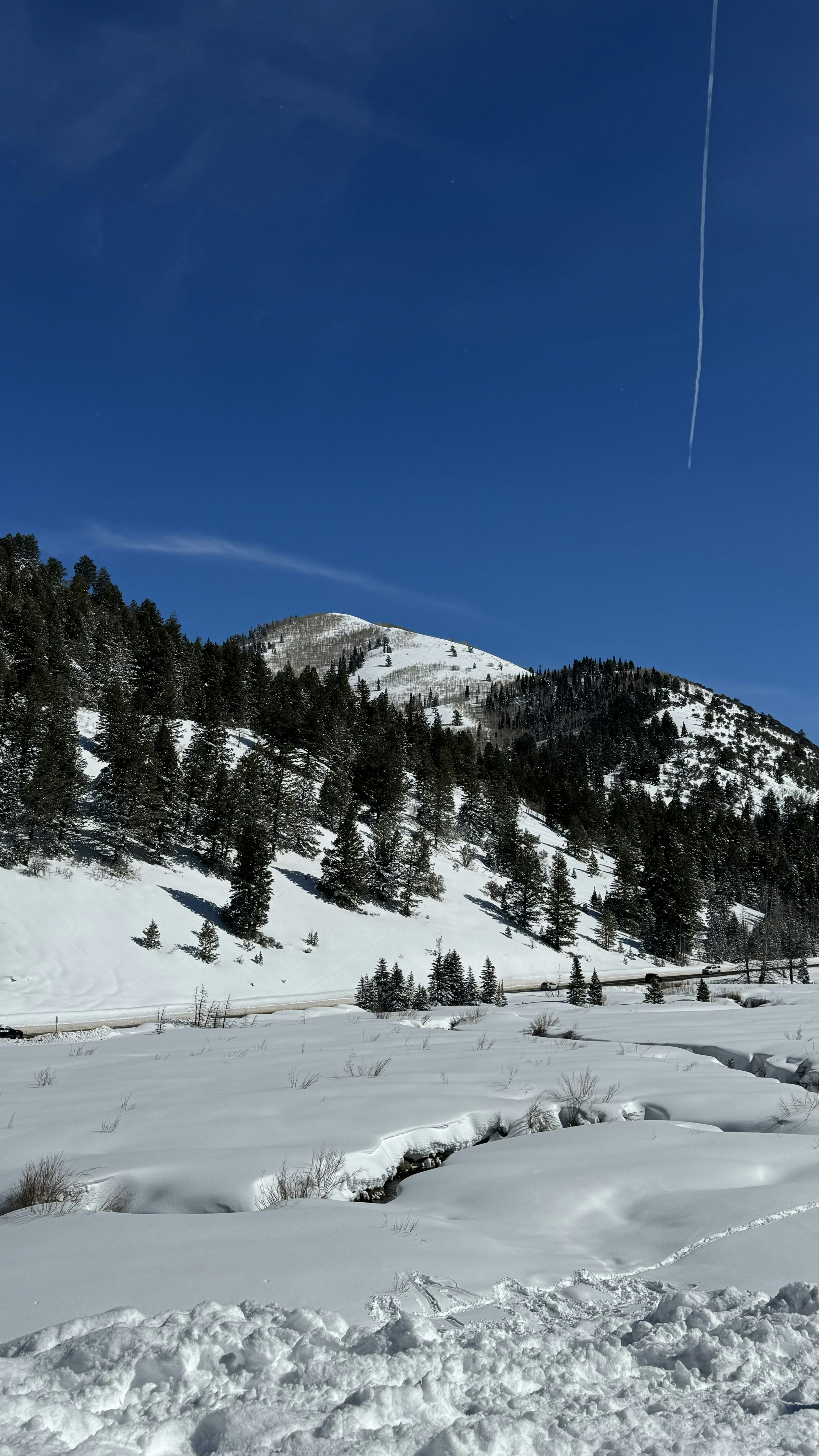 a snow covered field with a mountain in the background